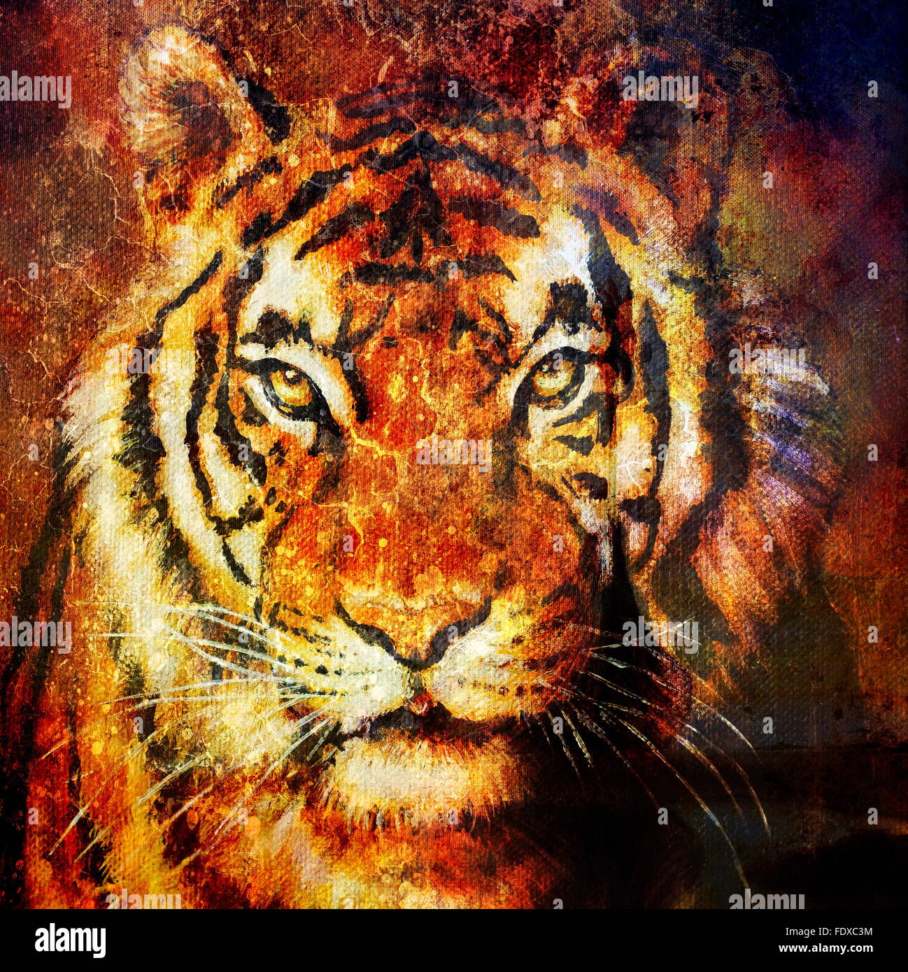 Tiger head, abstract color Background, computer collage, Eye contact ...