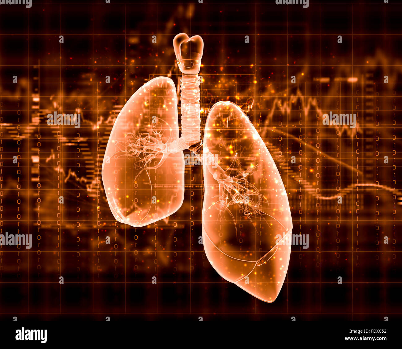 Schematic illustration of human lungs with the different elements on a ...