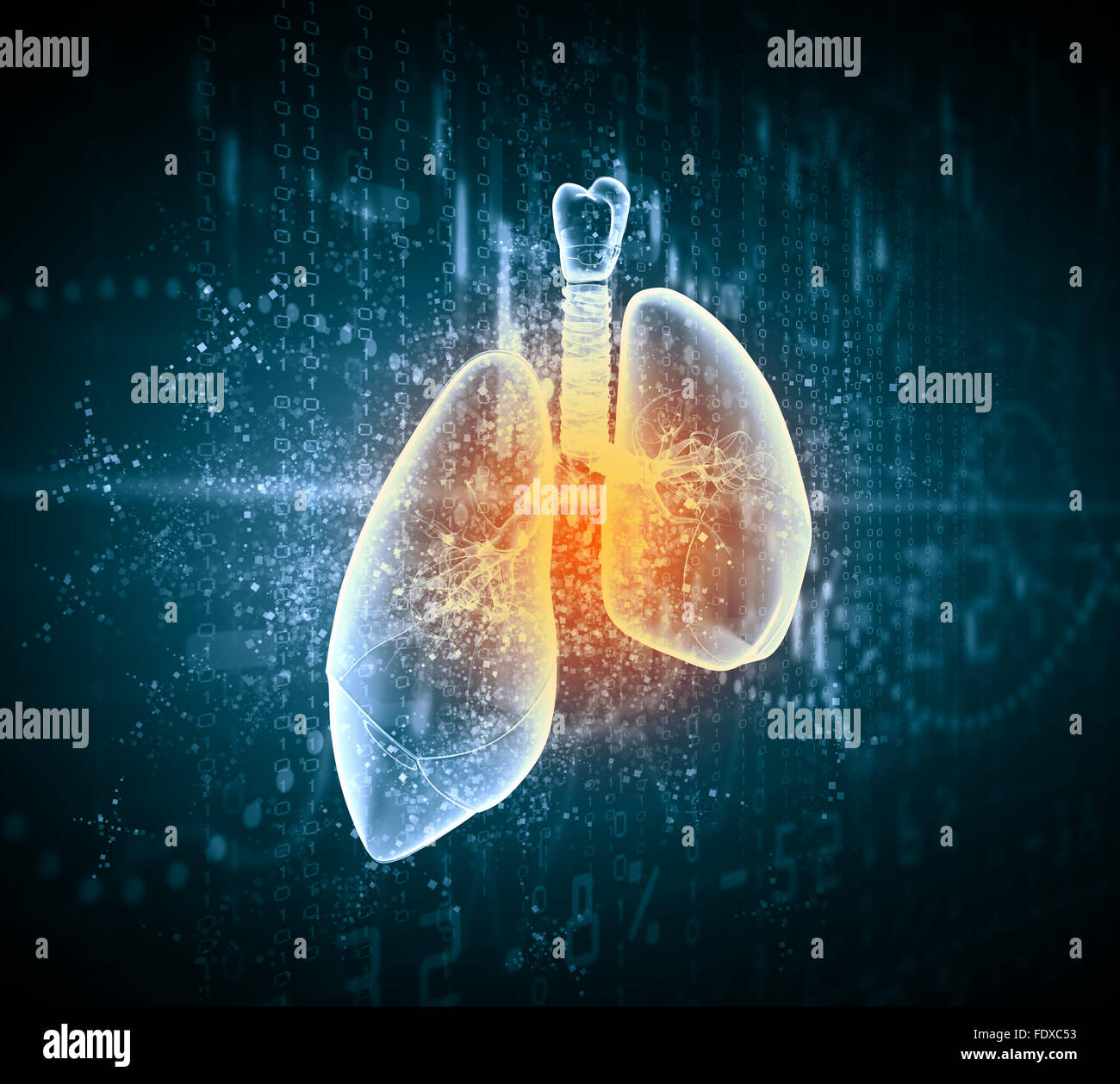 Schematic illustration of human lungs with the different elements on a ...