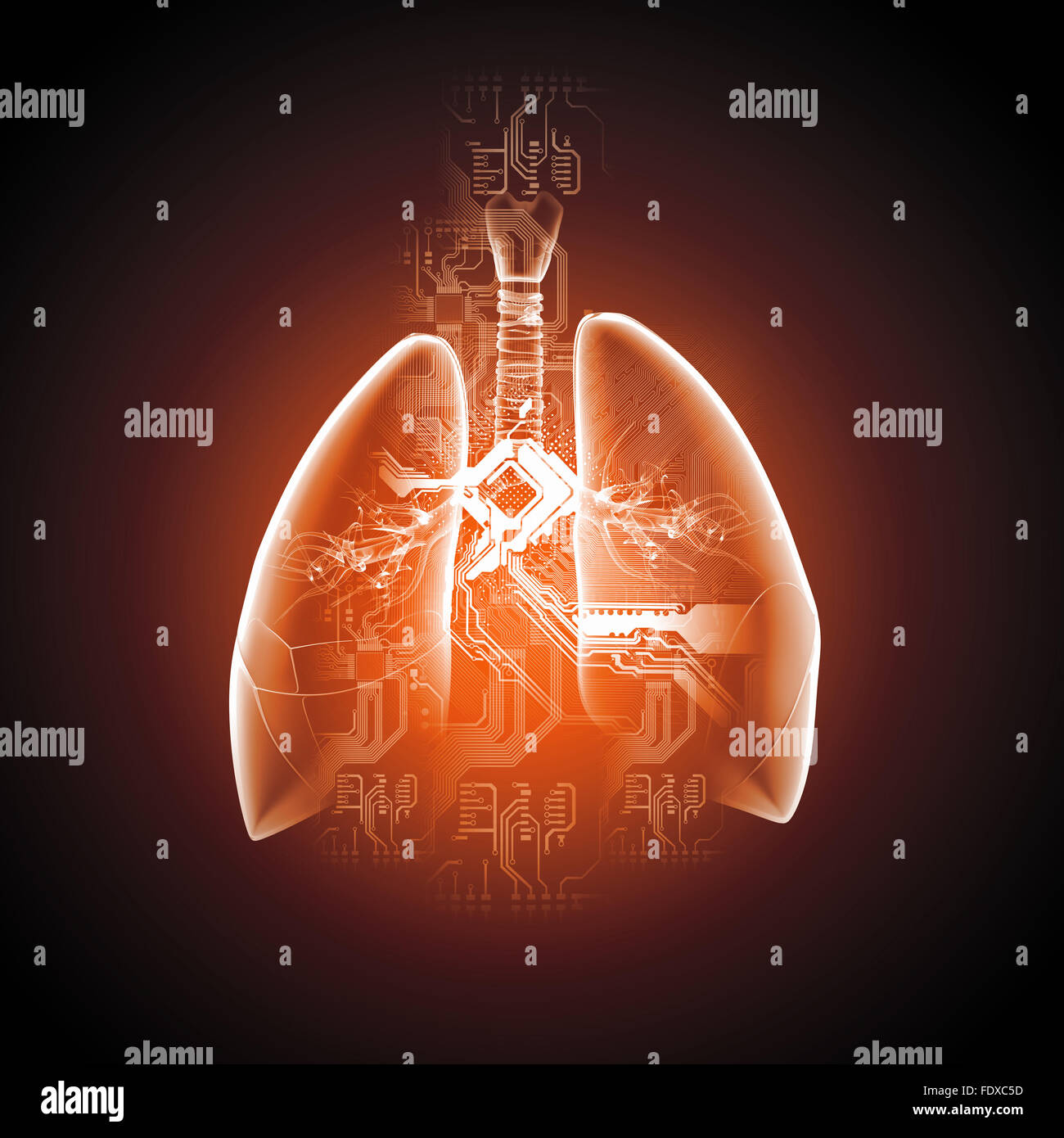 Schematic illustration of human lungs with the different elements on a ...