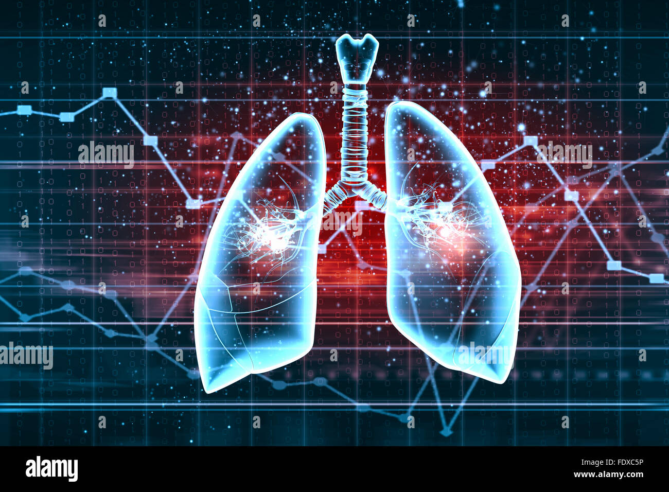 Schematic illustration of human lungs with the different elements on a ...
