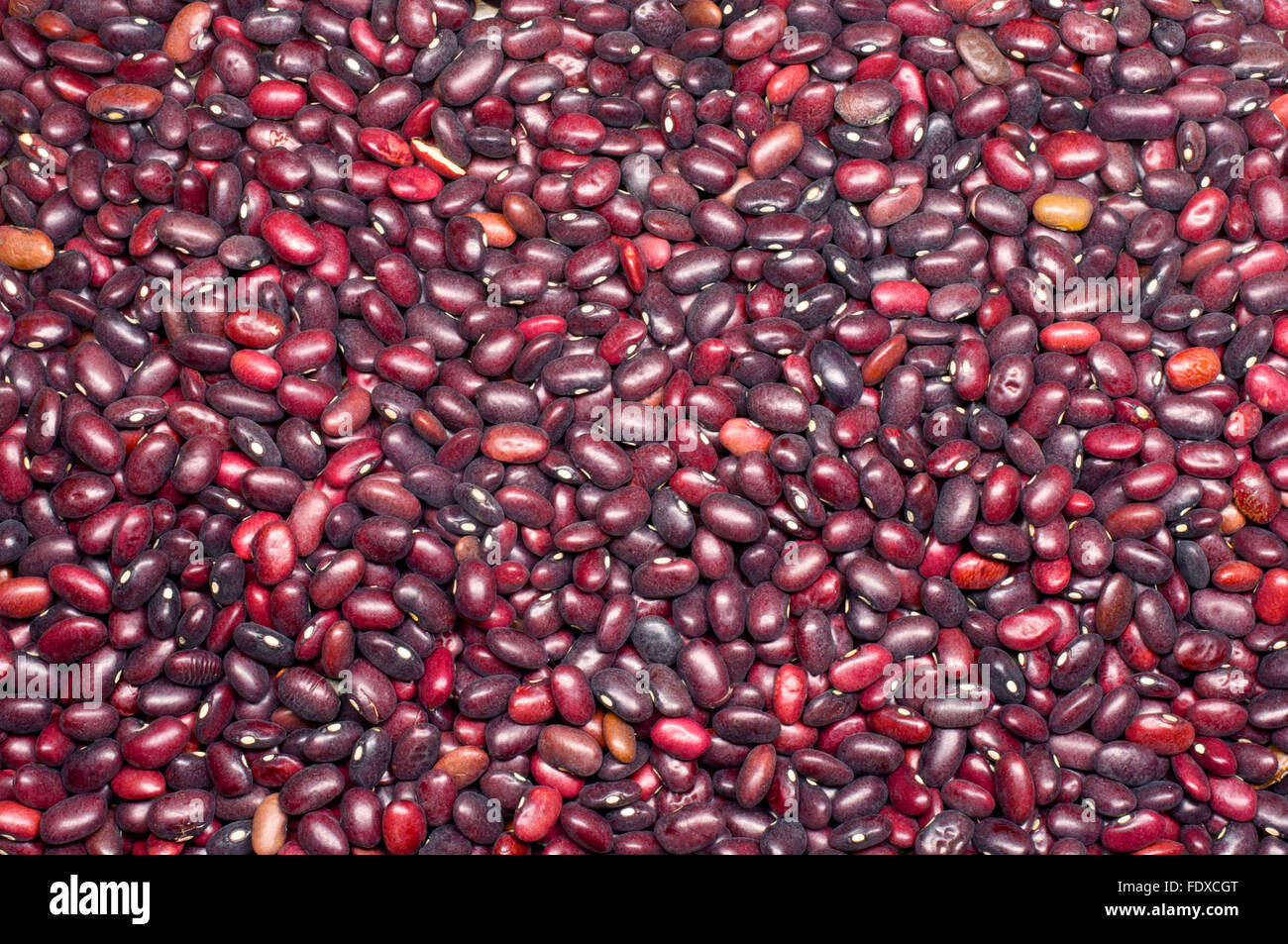 Grain macro hi-res stock photography and images - Alamy