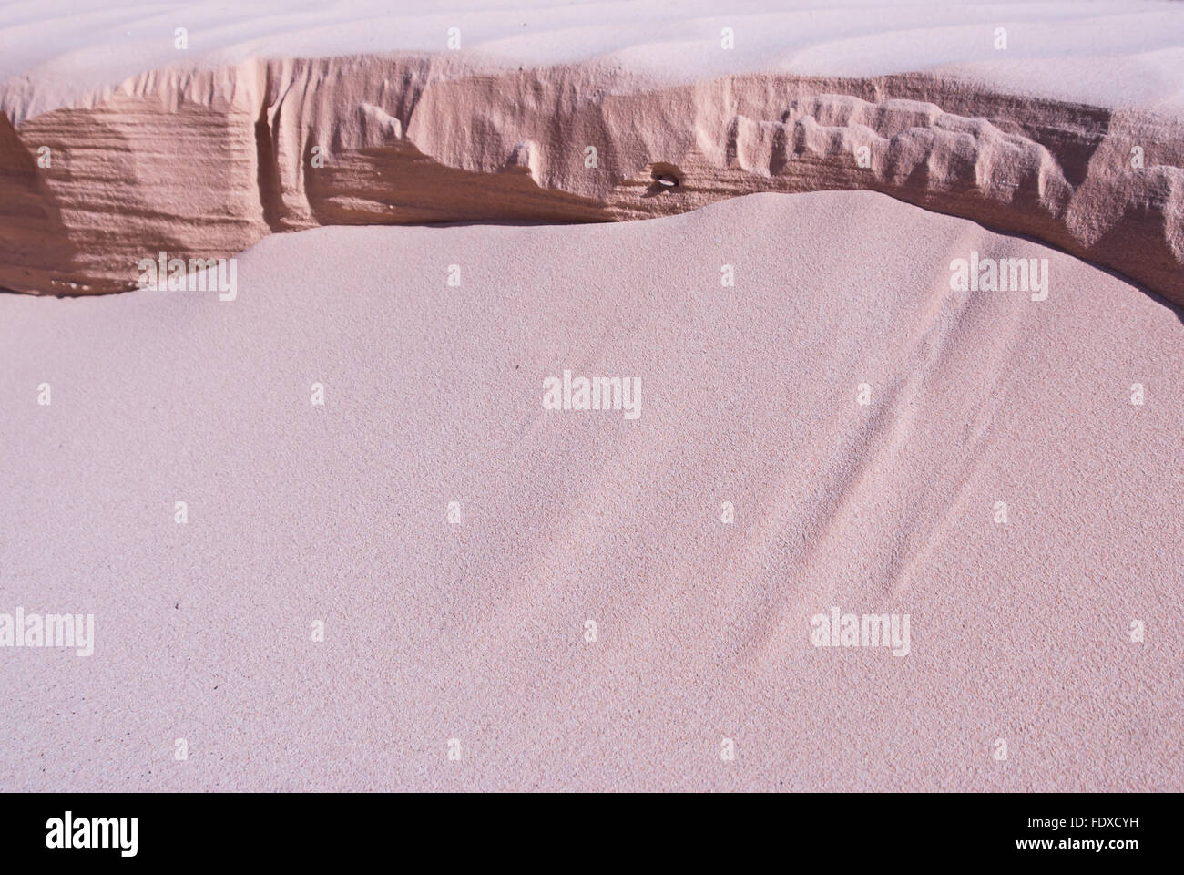 Coral pink sand ridges in Mojave Desert Stock Photo - Alamy
