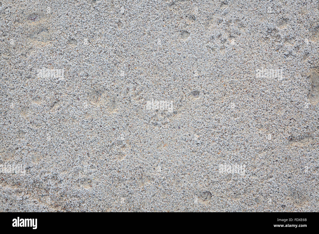 Frozen dirt road close-up Stock Photo - Alamy