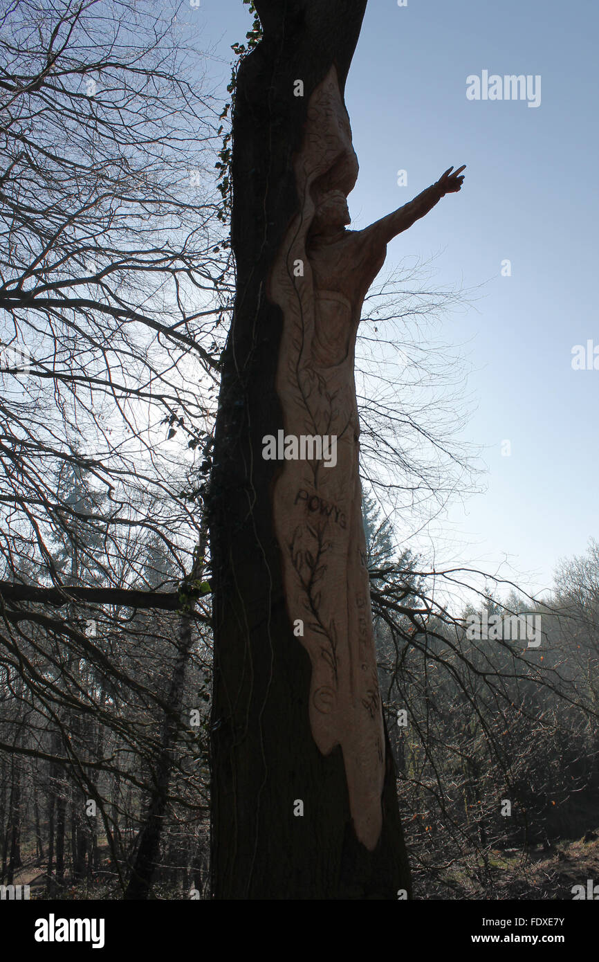 Wood carving of Owain Glyndwr on by tree carver Simon O'Rourke in Plas ...