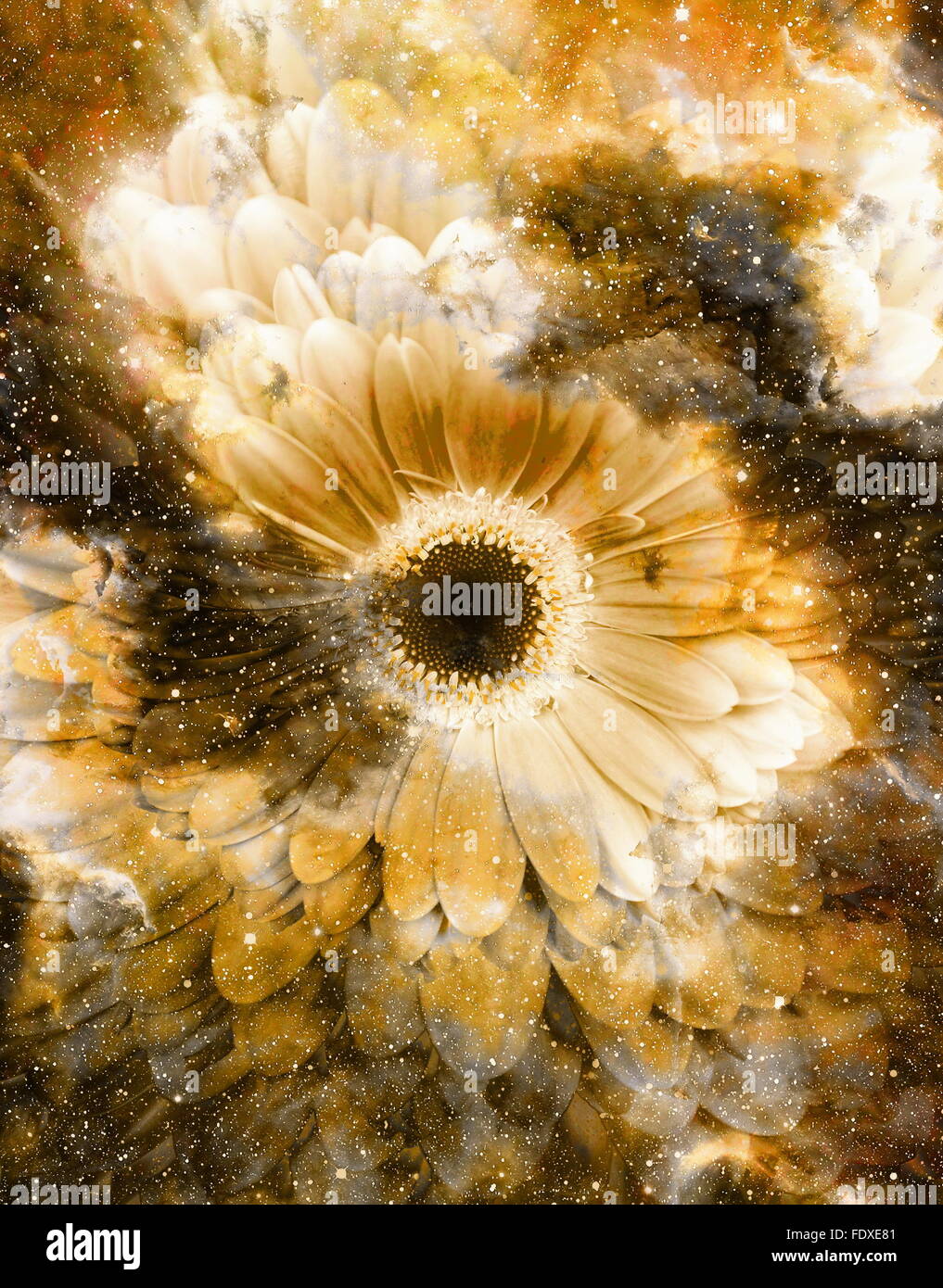 Space and stars with flower, color galaxi background, computer collage ...