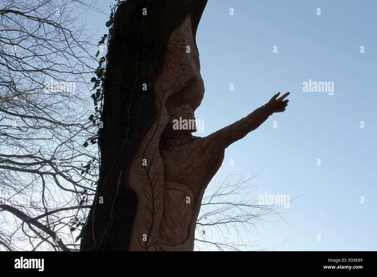 Wood carving of Owain Glyndwr on by tree carver Simon O'Rourke in Plas ...