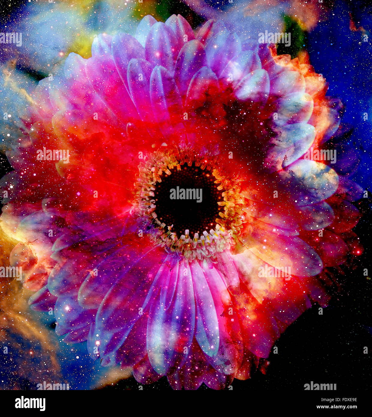 Space and stars with flower, color galaxi background, computer collage ...