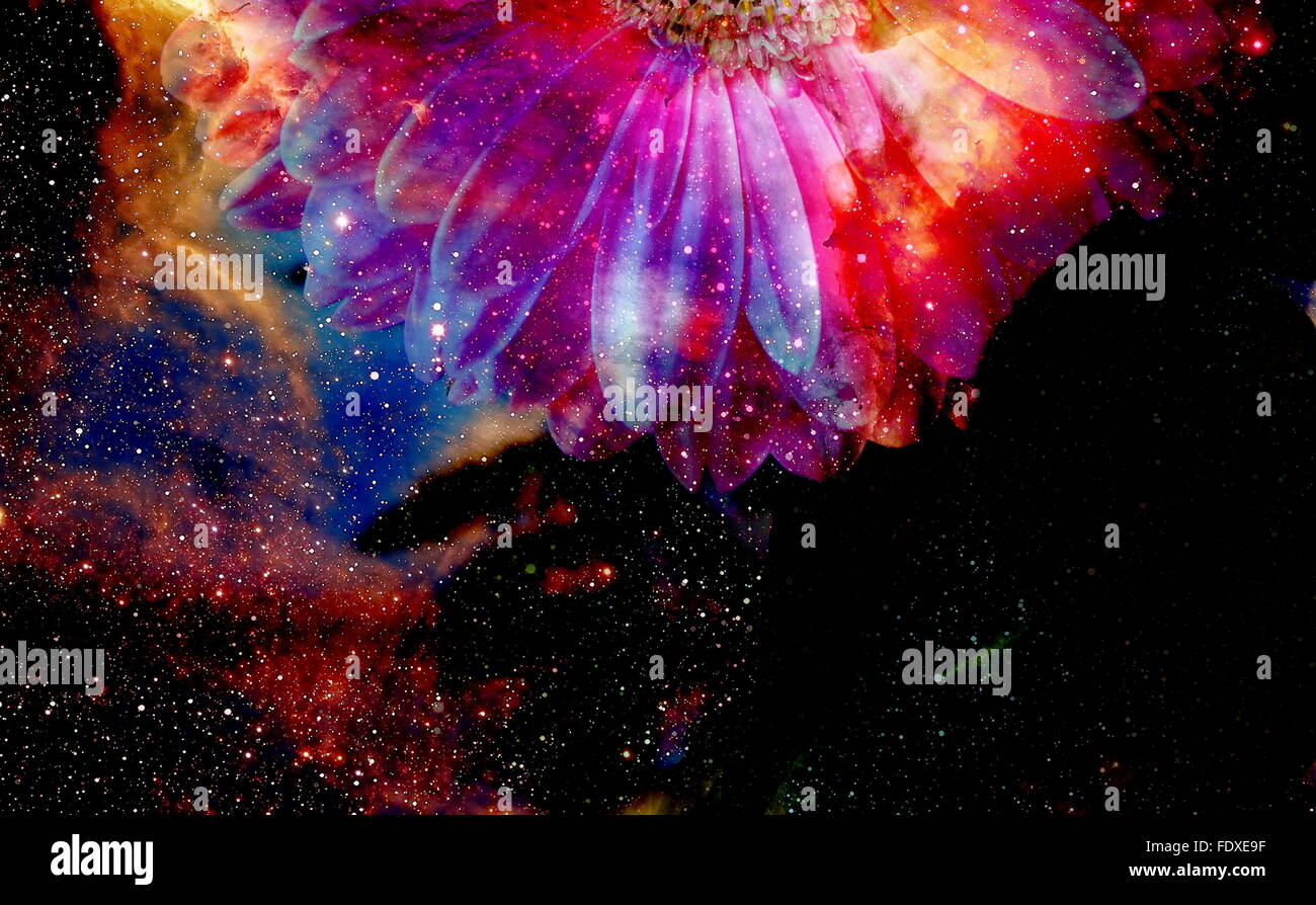 Space and stars with flower, color galaxi background, computer collage ...