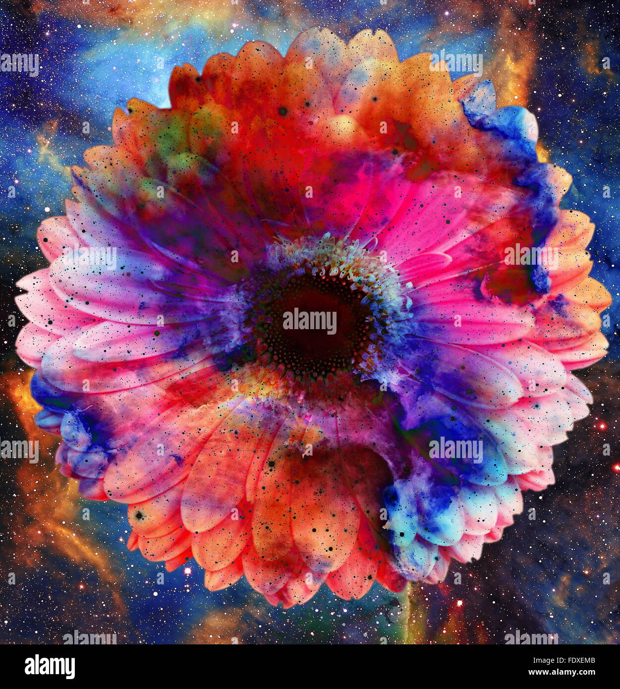Space and stars with flower, color galaxi background, computer collage ...