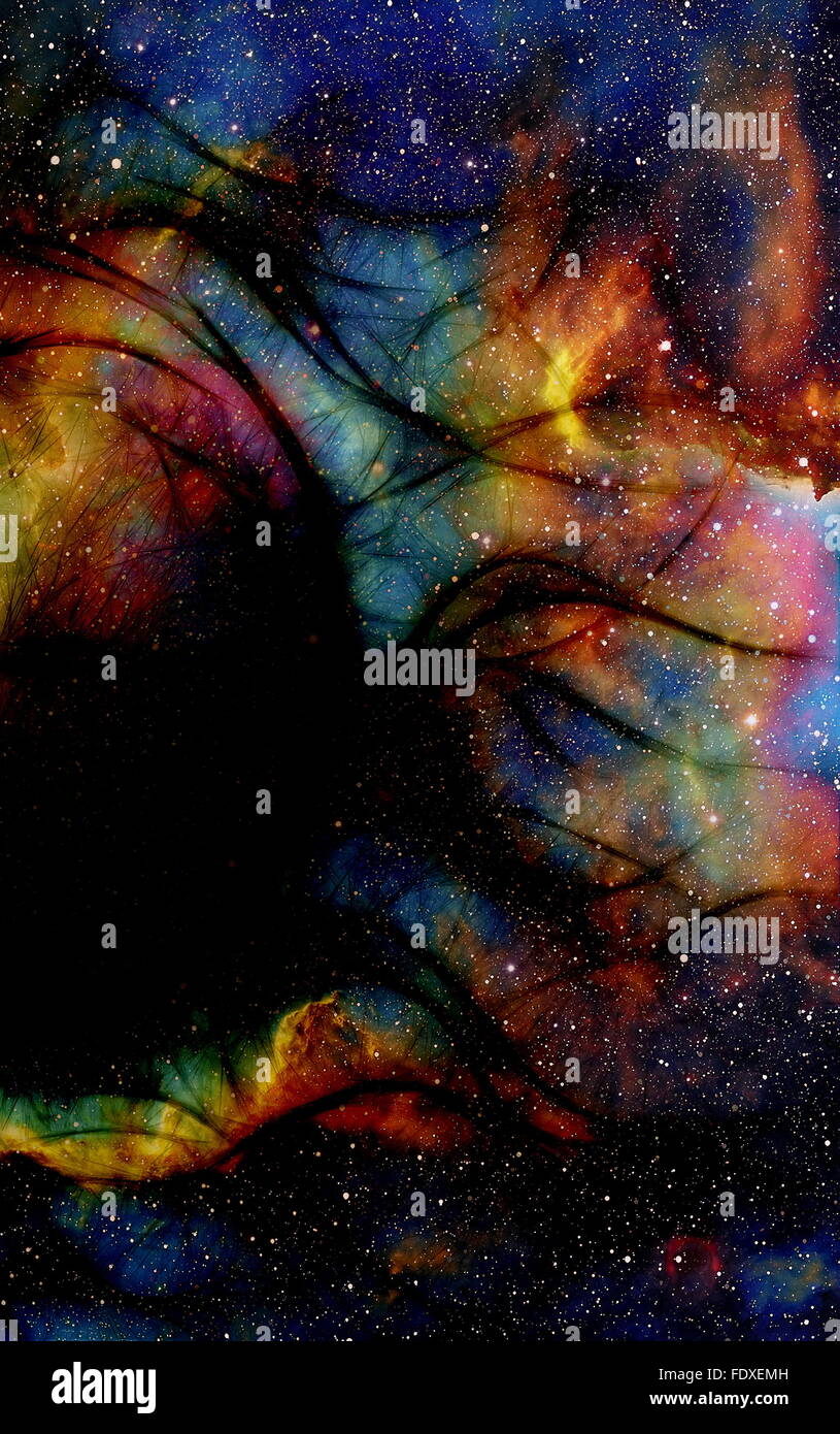 Cosmos and fractal effect, computer collage. Elements of this image ...