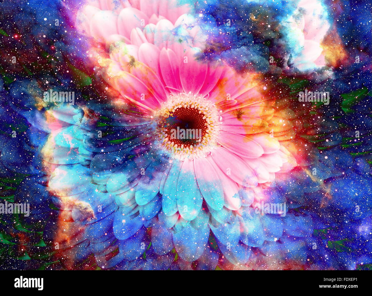 Space and stars with flower, color galaxi background, computer collage ...