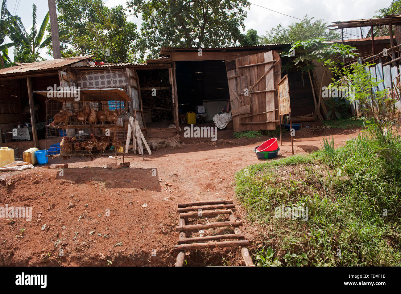 Roadside village scenes in rural Uganda, showing shops and stores along ...
