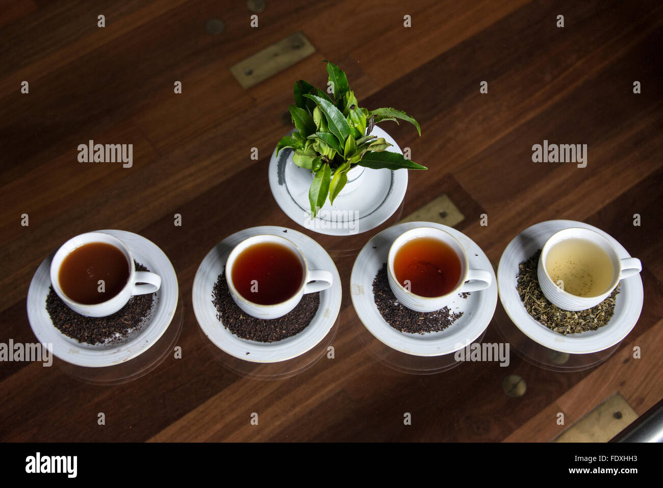Tea Shades High Resolution Stock Photography and Images - Alamy