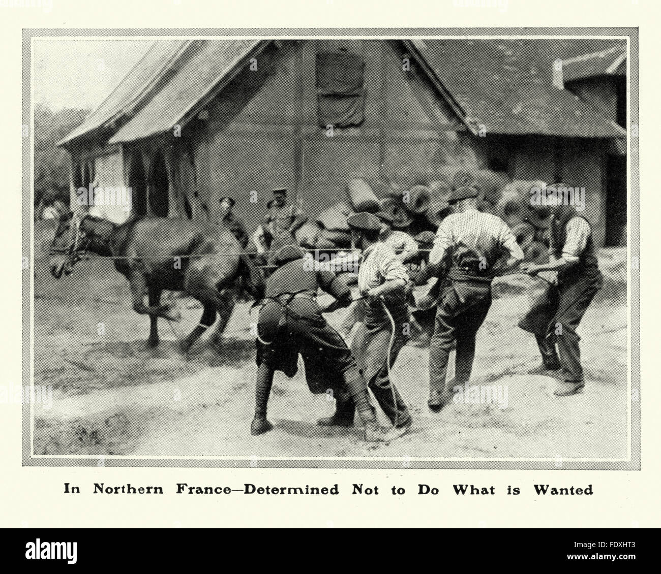 British Army Farrier High Resolution Stock Photography and Images - Alamy