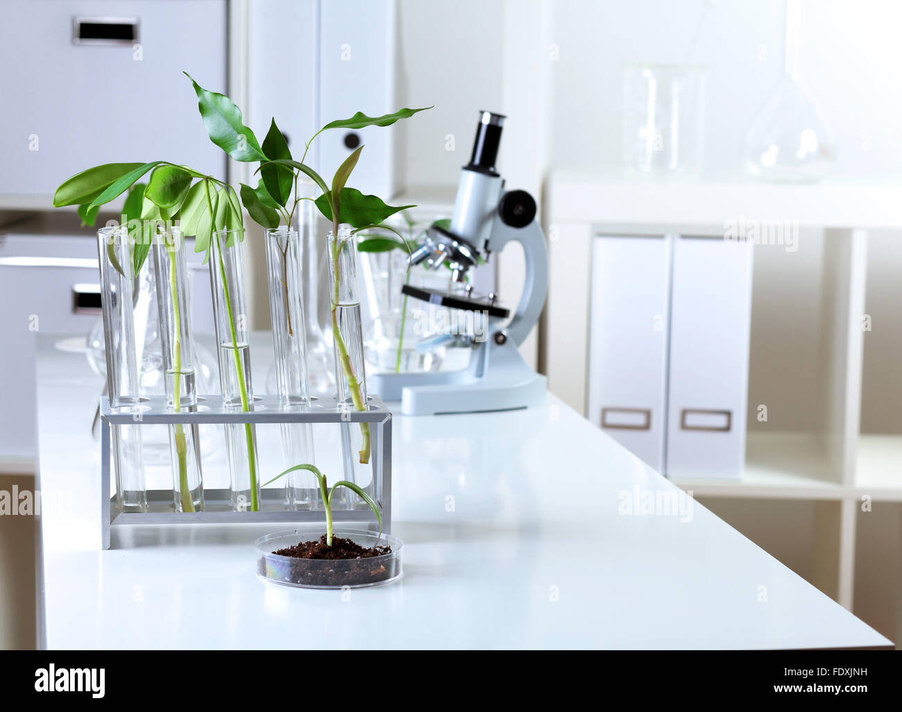 Laborotary hi-res stock photography and images - Alamy