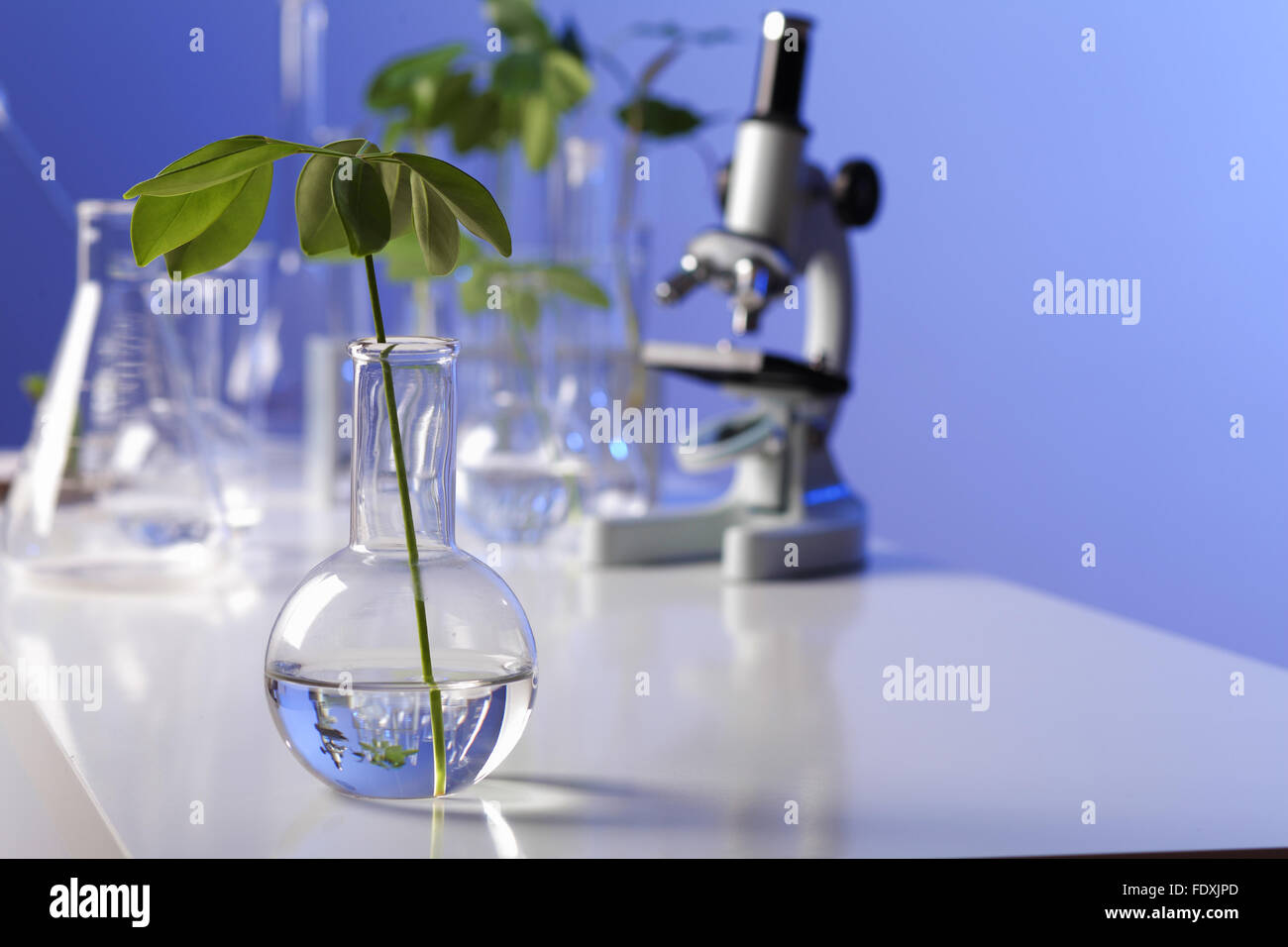 Green plants and scientific equipment in biology laborotary Stock Photo ...