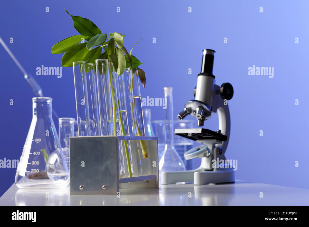 Green plants and scientific equipment in biology laborotary Stock Photo ...
