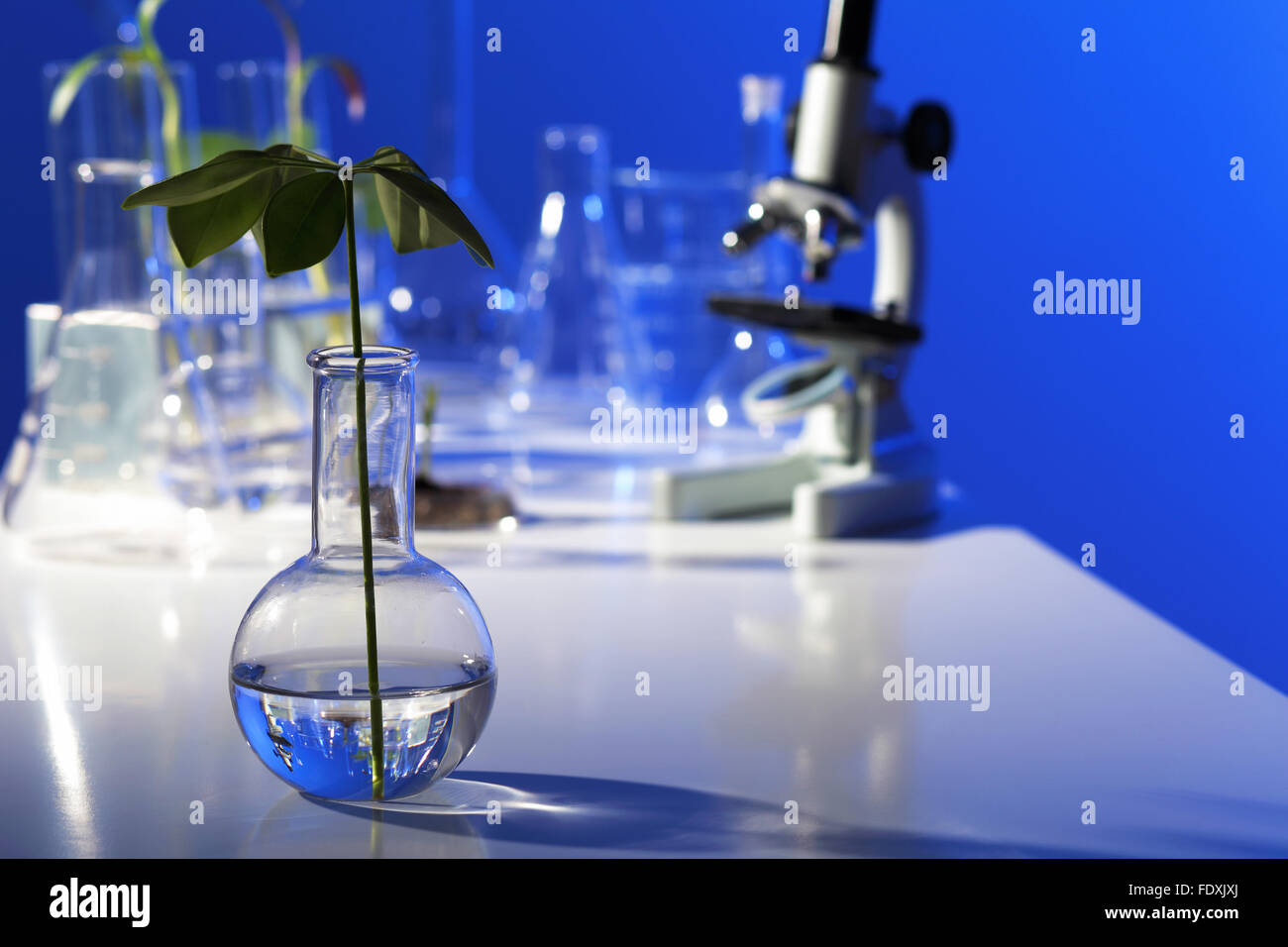 Green plants and scientific equipment in biology laborotary Stock Photo ...