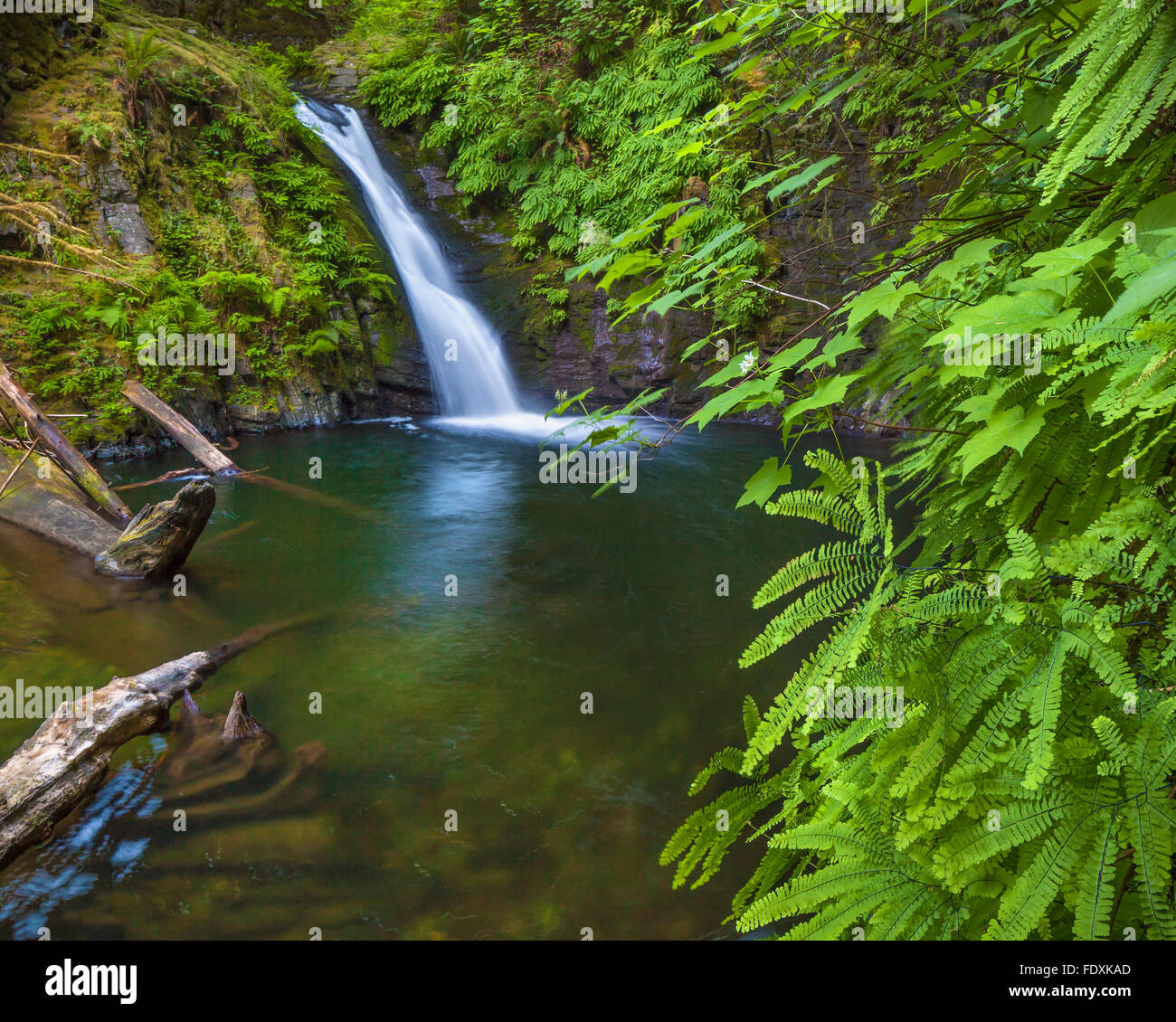 Goldstream Provincial Park, Vancouver Island, BC: Goldstream Falls on ...
