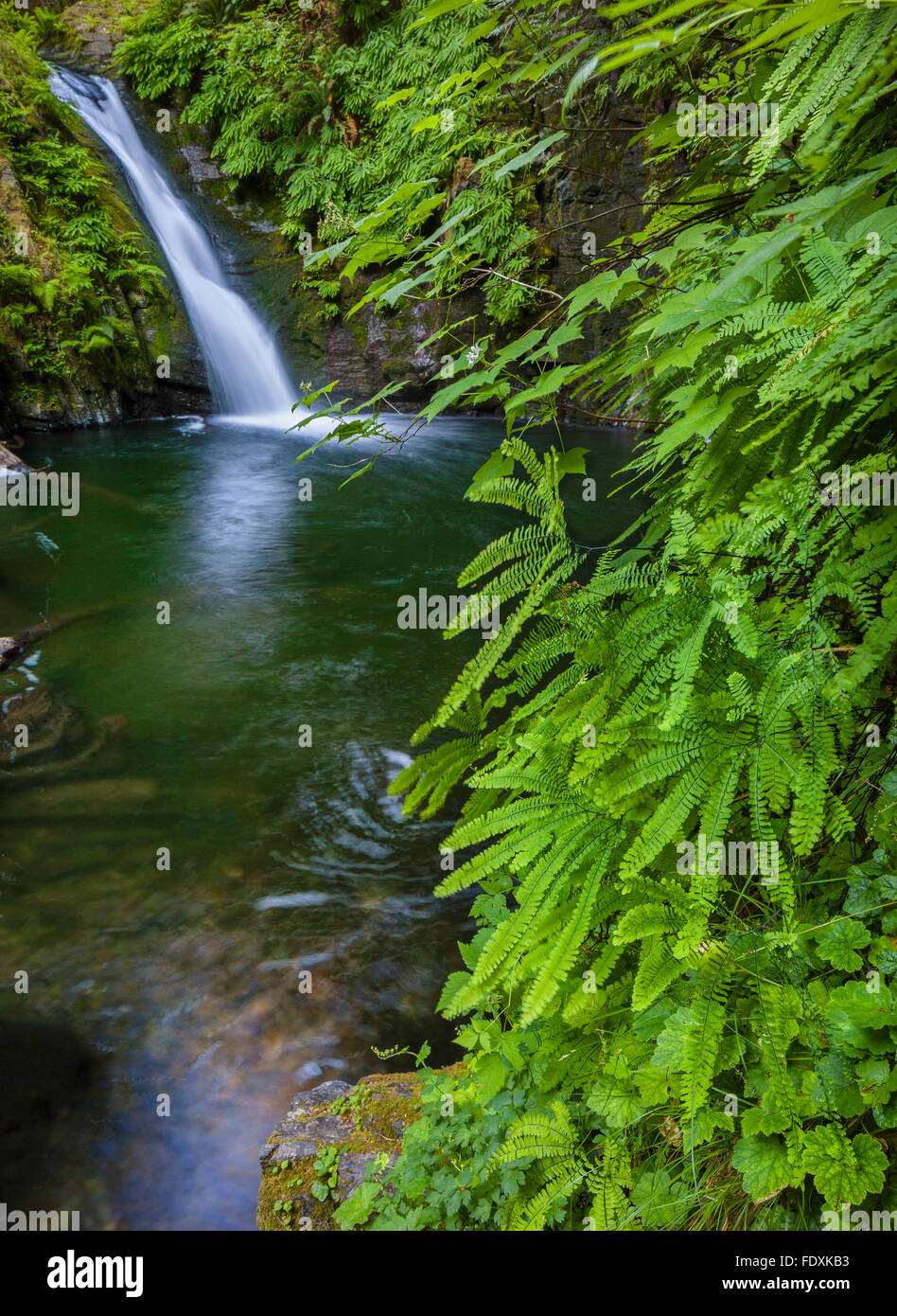 Goldstream Provincial Park, Vancouver Island, BC: Goldstream Falls on ...