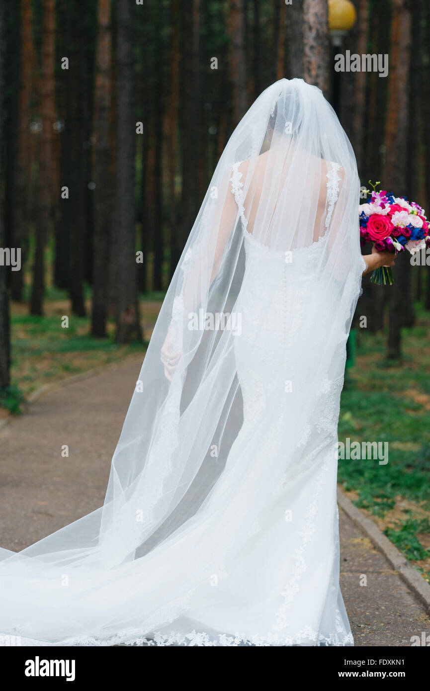 Wedding day. Behind view of the bride Stock Photo - Alamy