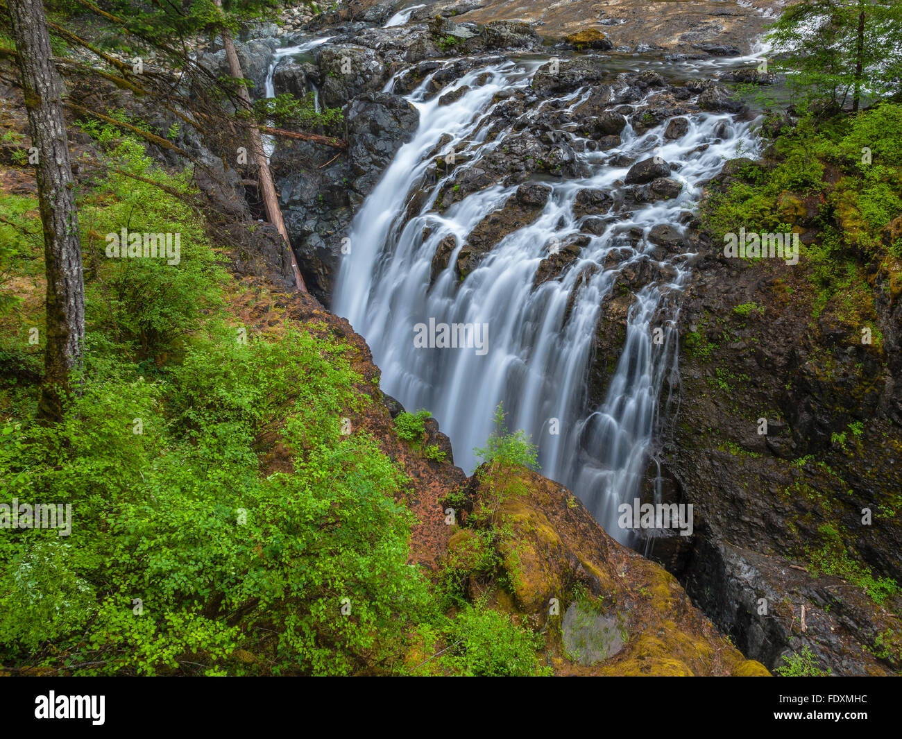 Englishman River Falls Provincial Park, Vancouver Island, BC: Upper ...