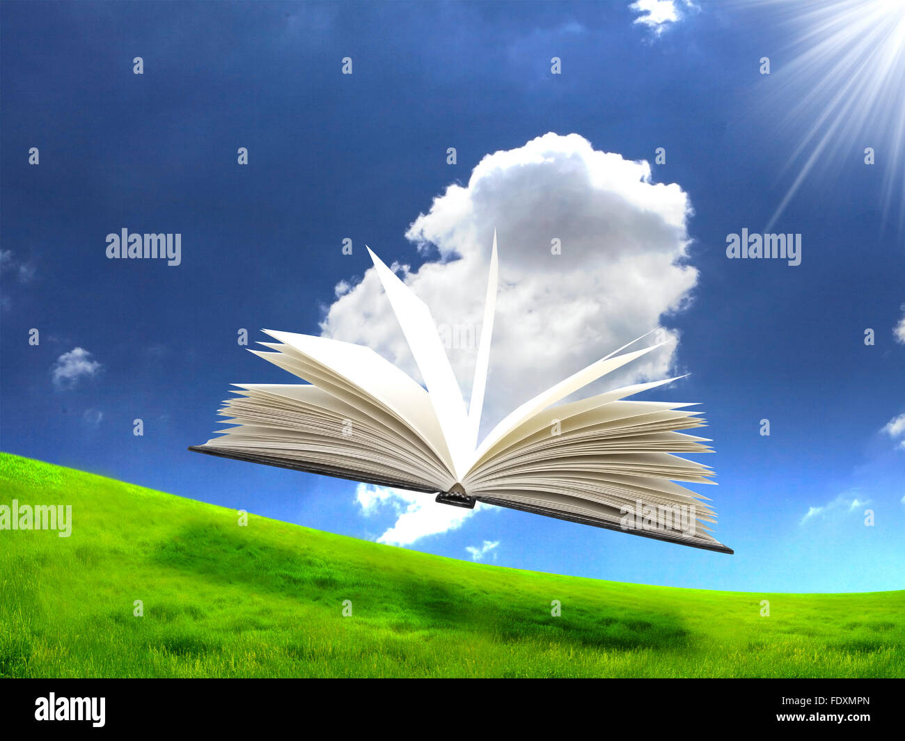 book in the air against green panoramic nature landscape Stock Photo ...