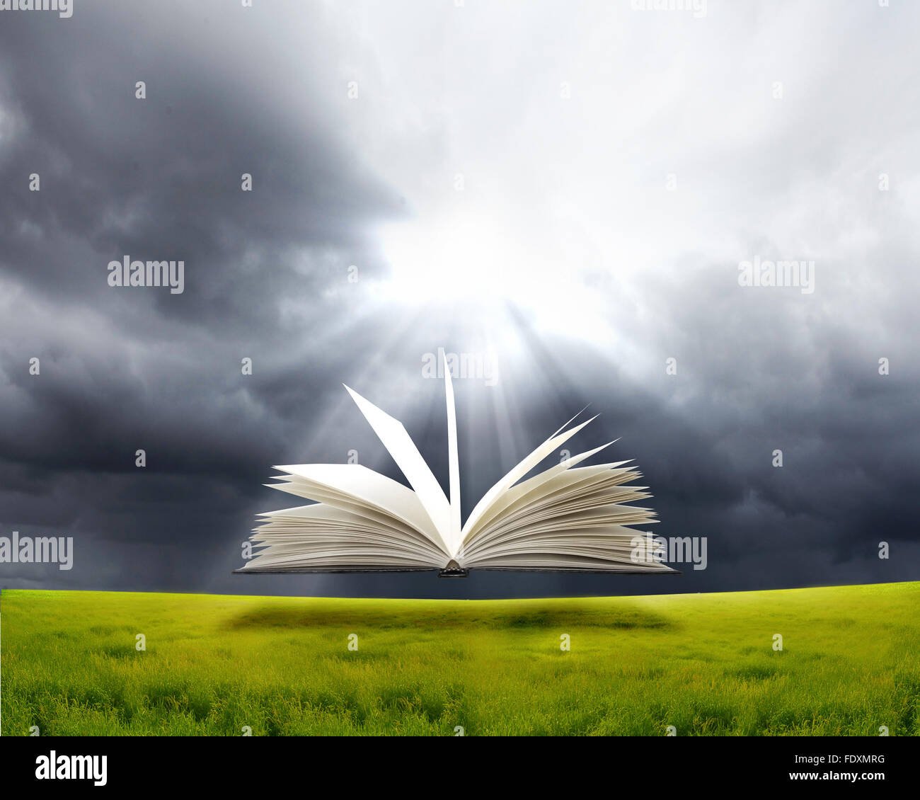 book in the air against green panoramic nature landscape Stock Photo ...