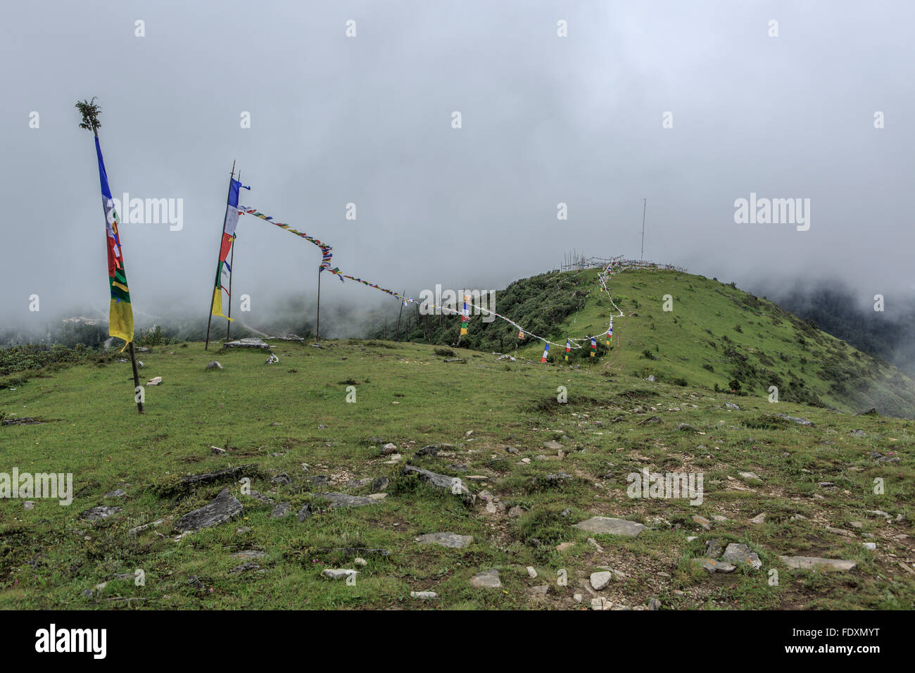 Prayer Flags at Chelela Pass, Bhutan Stock Photo - Alamy