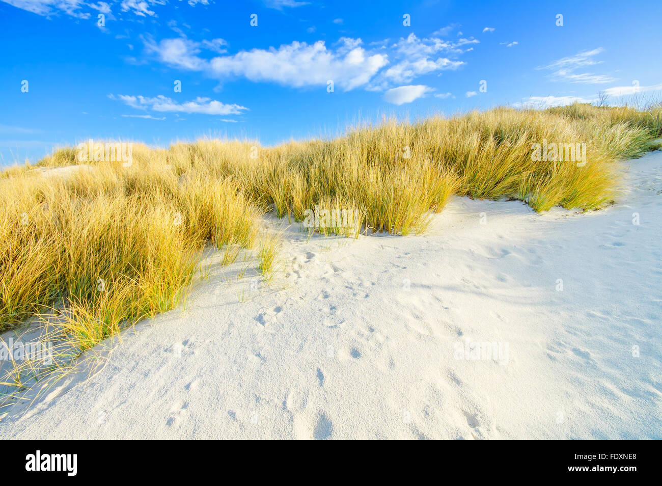 Sand dunes beach hi-res stock photography and images - Alamy