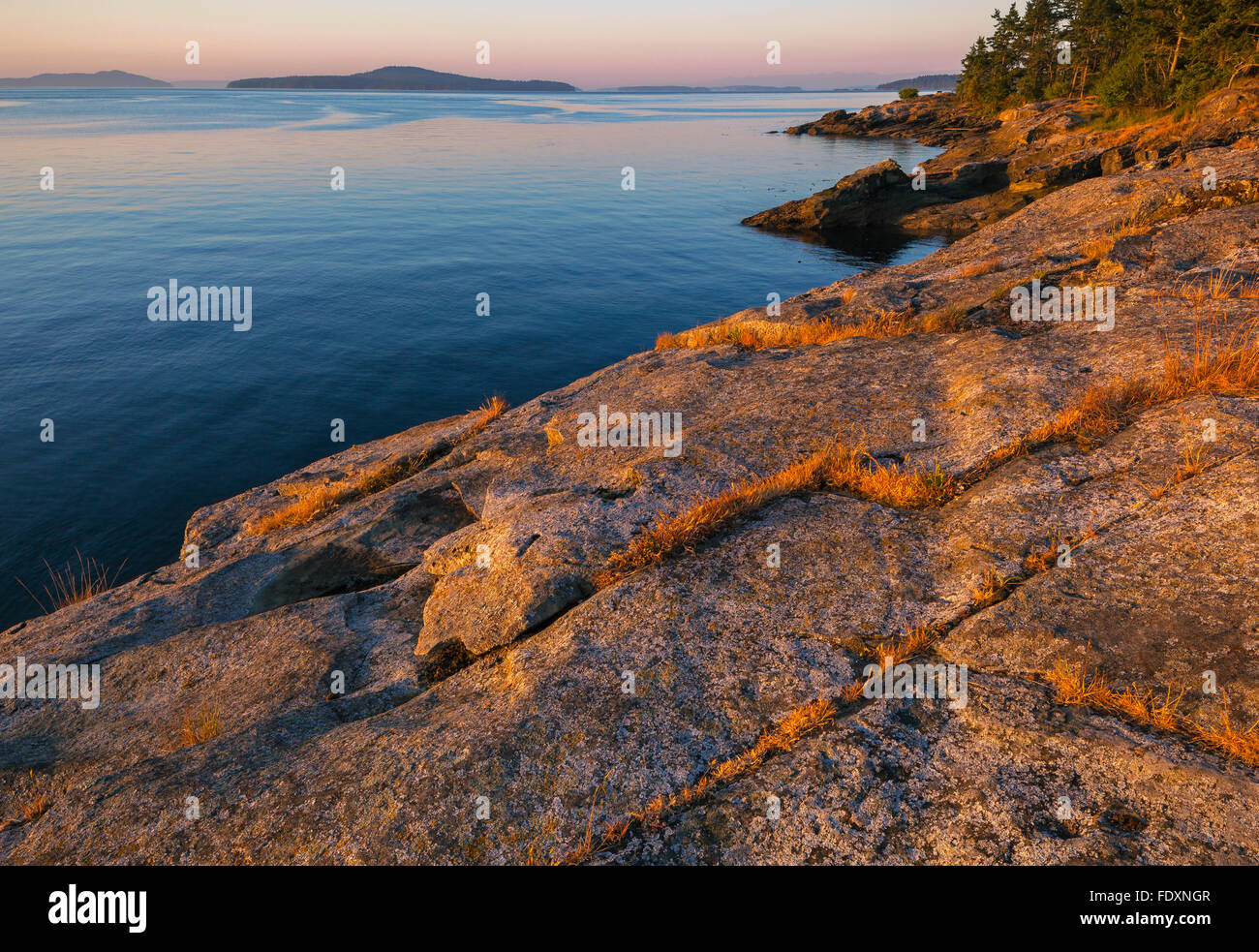 Ruckle provincial park hi-res stock photography and images - Alamy