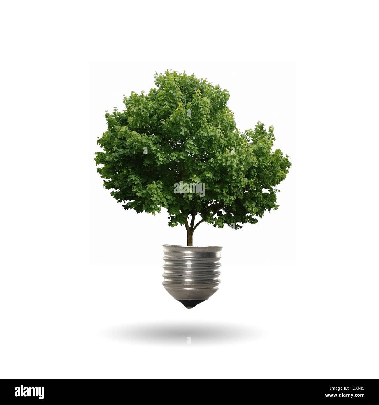 A symbol of power and growth Cut Out Stock Images & Pictures - Alamy