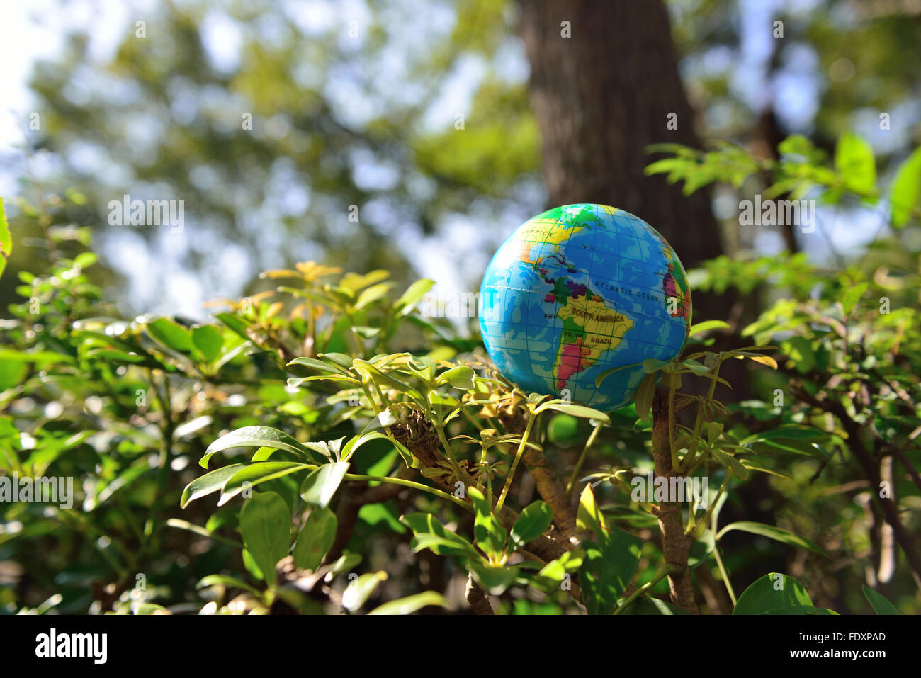 Future earth globe hi-res stock photography and images - Alamy