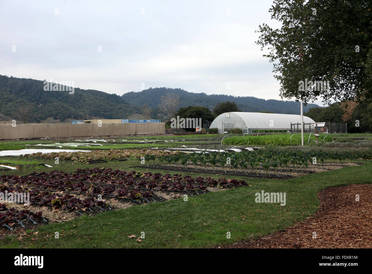 The french laundry napa valley hi-res stock photography and images - Alamy