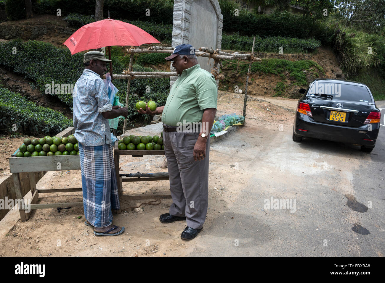 A Sri Lankan motorist stops to buy a bag of locally produced avocados ...