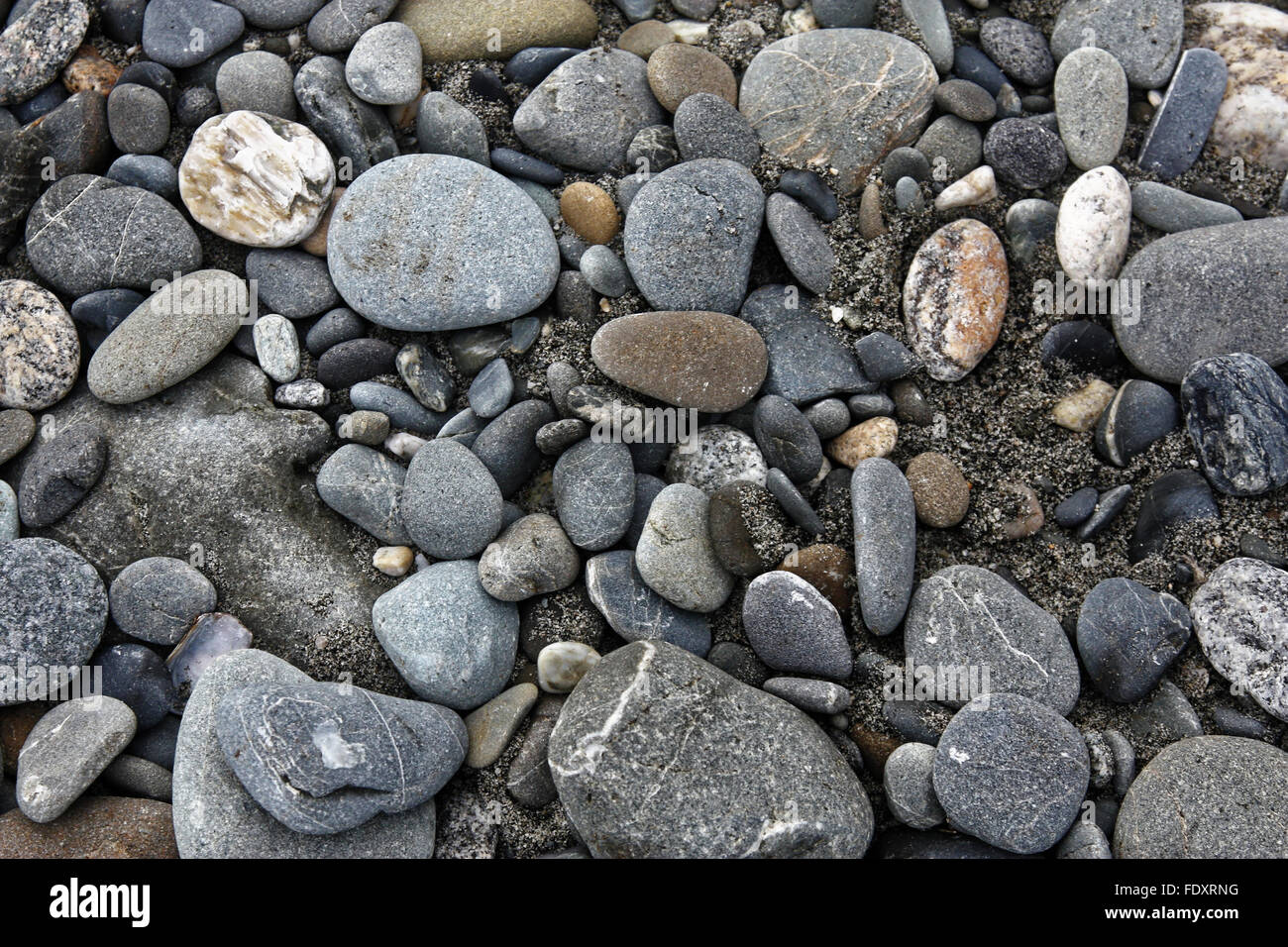 lots of various stones on the beach Stock Photo - Alamy
