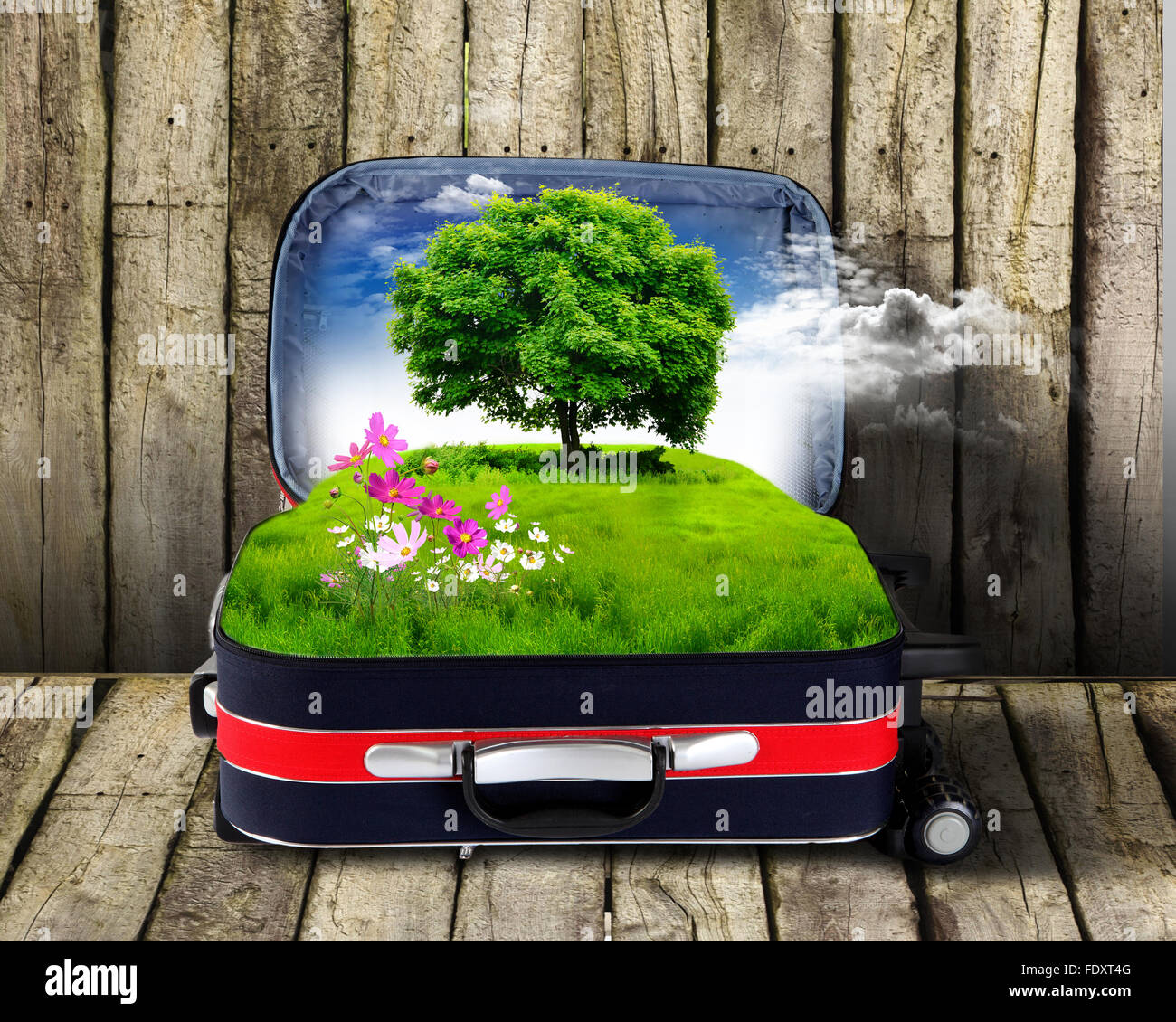 Red suitcase with green nature landscape in it Stock Photo - Alamy