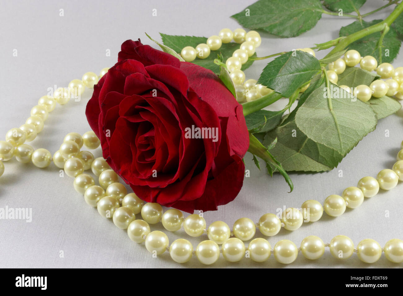 Beautiful Roses With Pearls