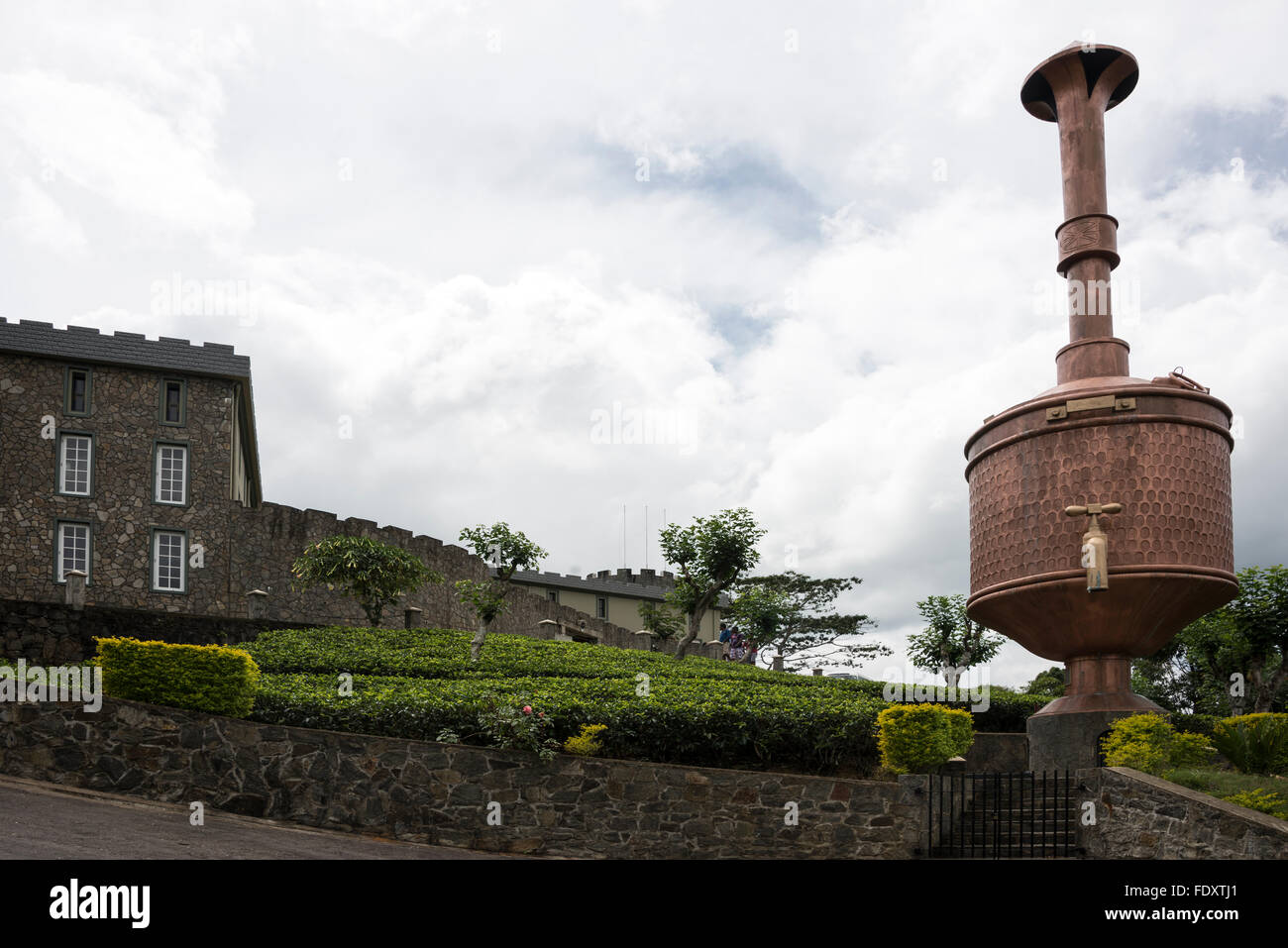 Mlesna Tea Castle St Clair tea plantation is situated 3 km west of the ...