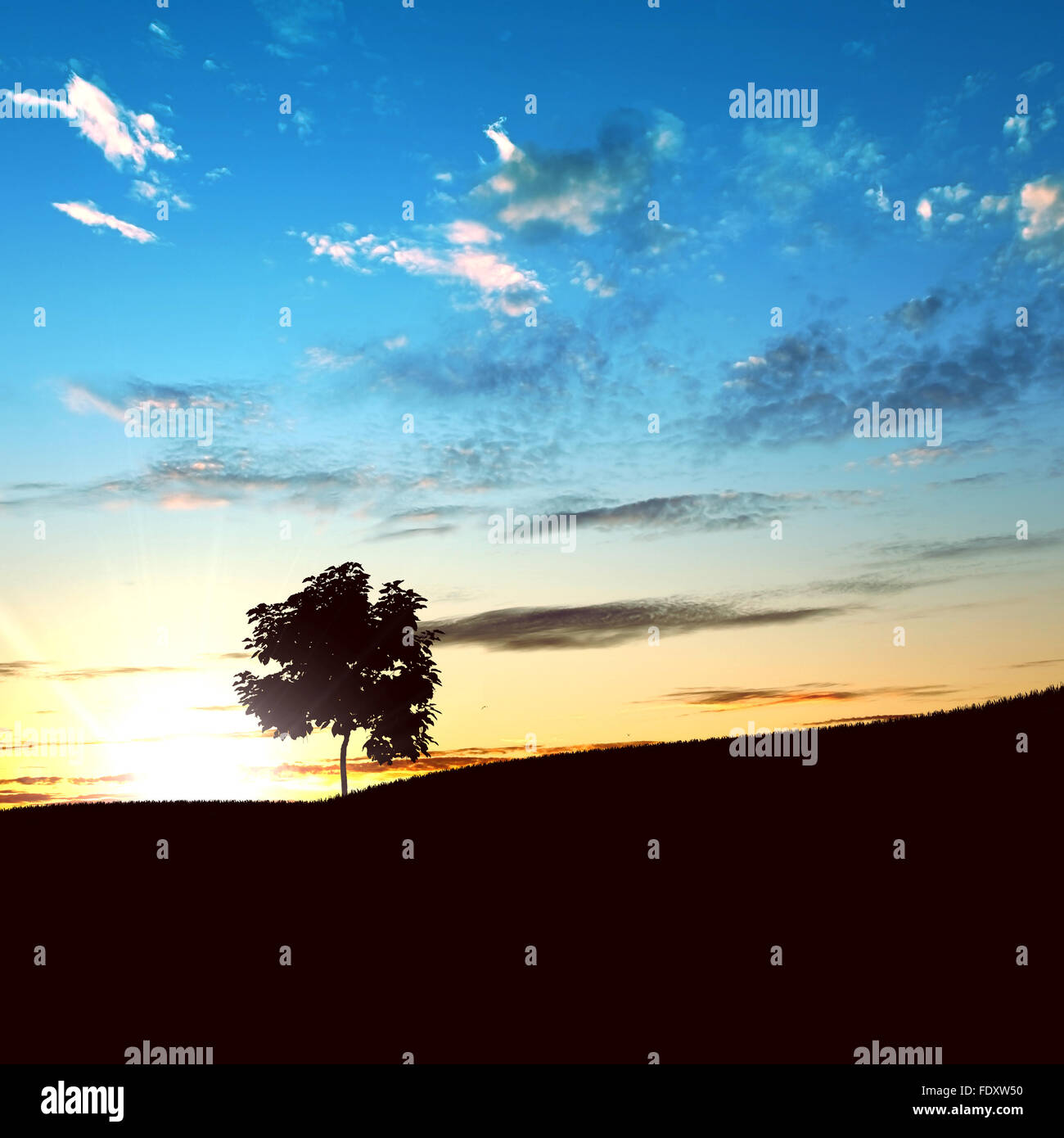 landscape with a lonely tree and horizon Stock Photo - Alamy