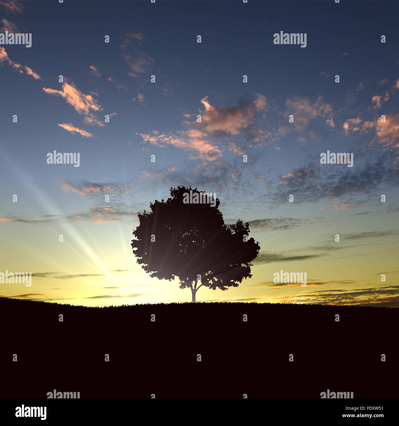landscape with a lonely tree and horizon Stock Photo - Alamy