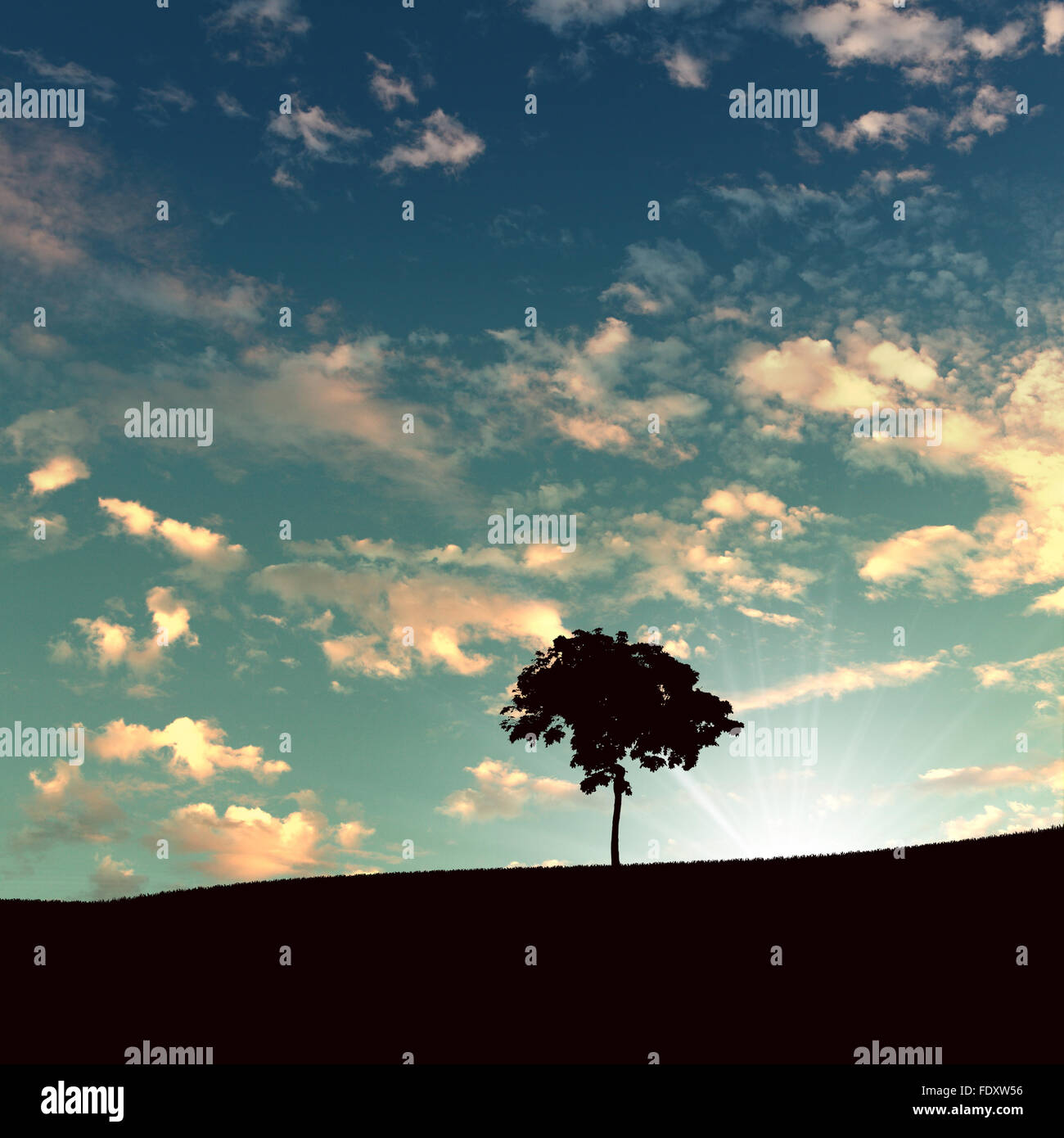 landscape with a lonely tree and horizon Stock Photo - Alamy