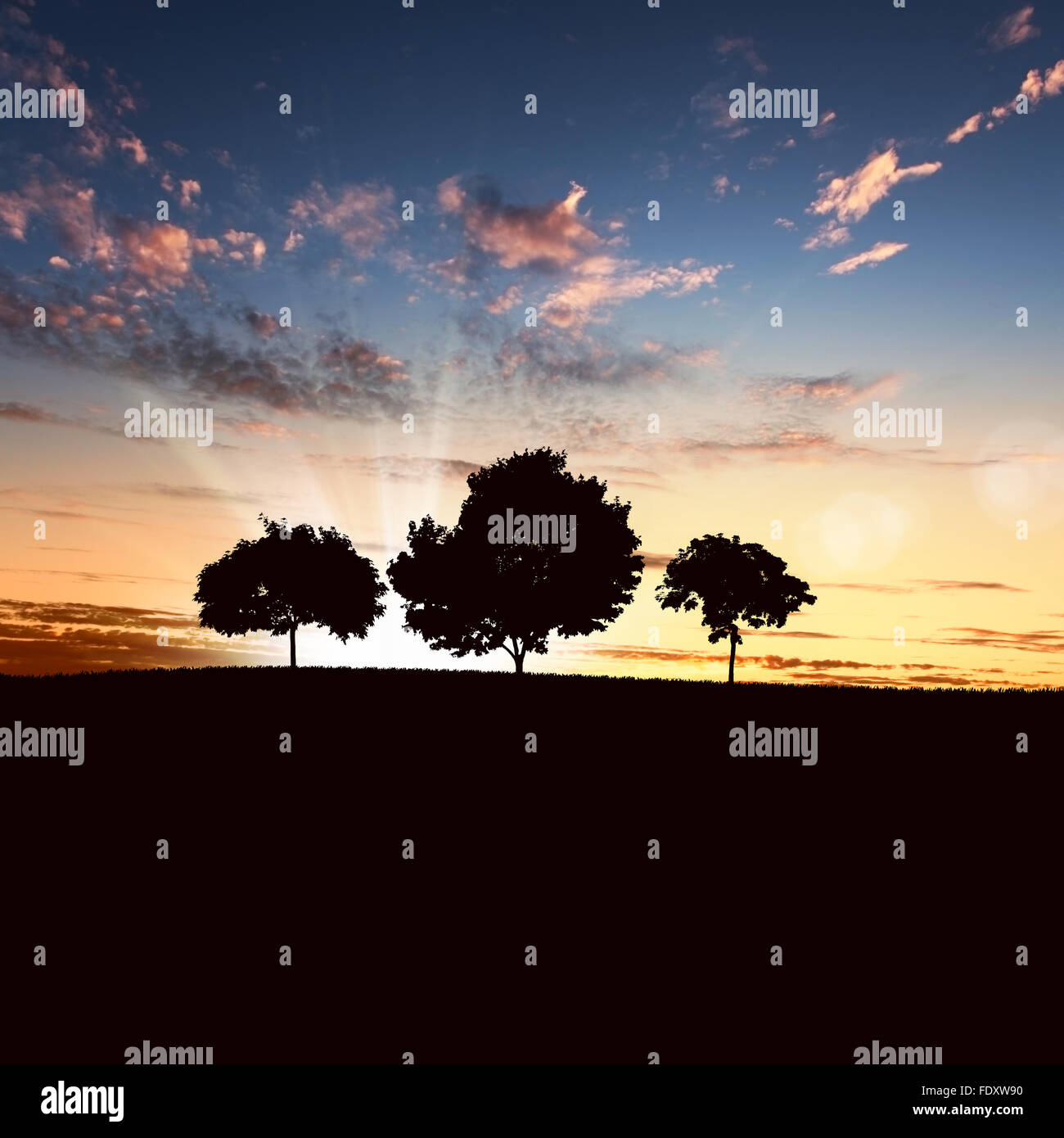 landscape with a lonely tree and horizon Stock Photo - Alamy