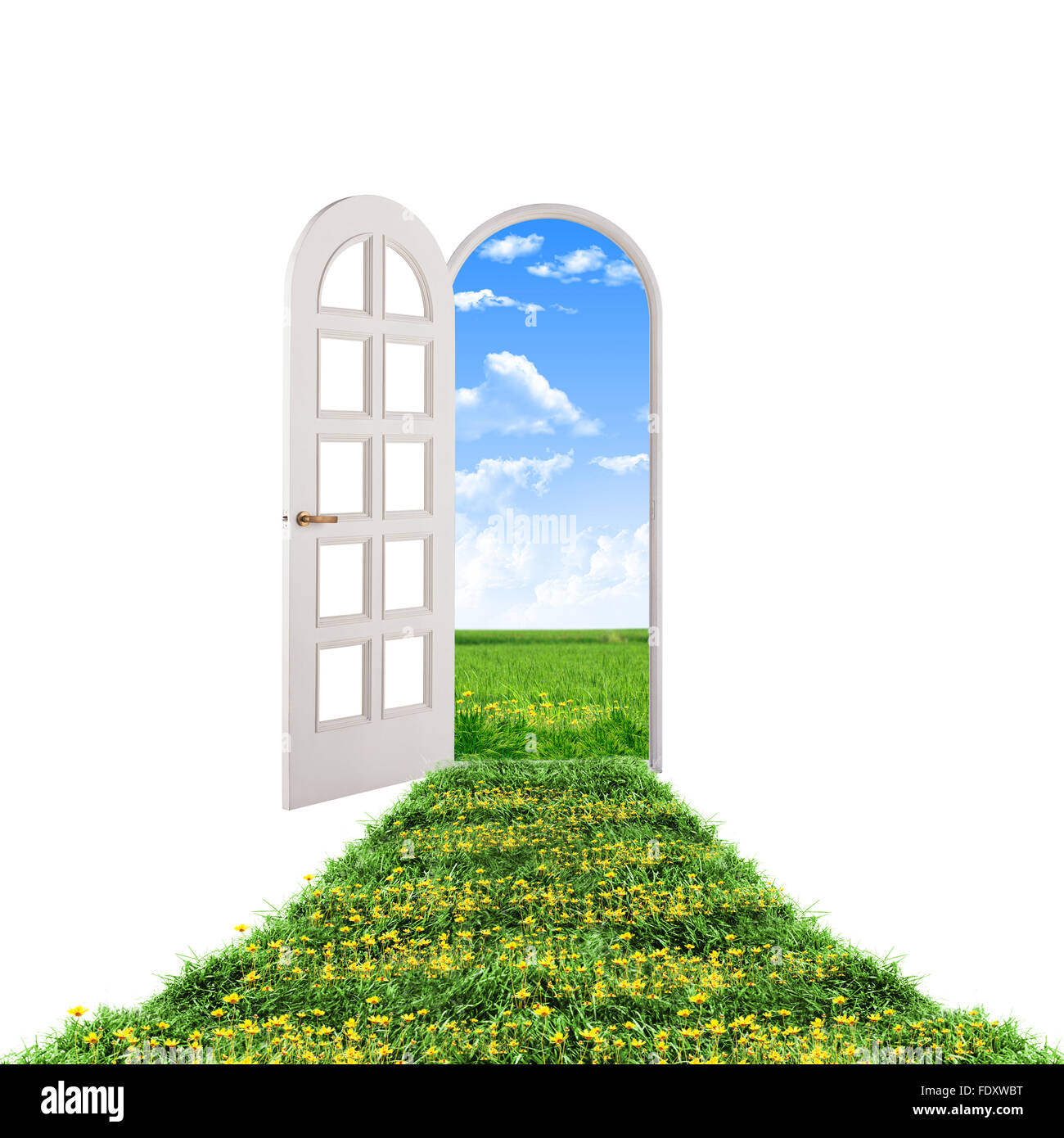 open door leading to beautiful clean nature with green grass and blue ...