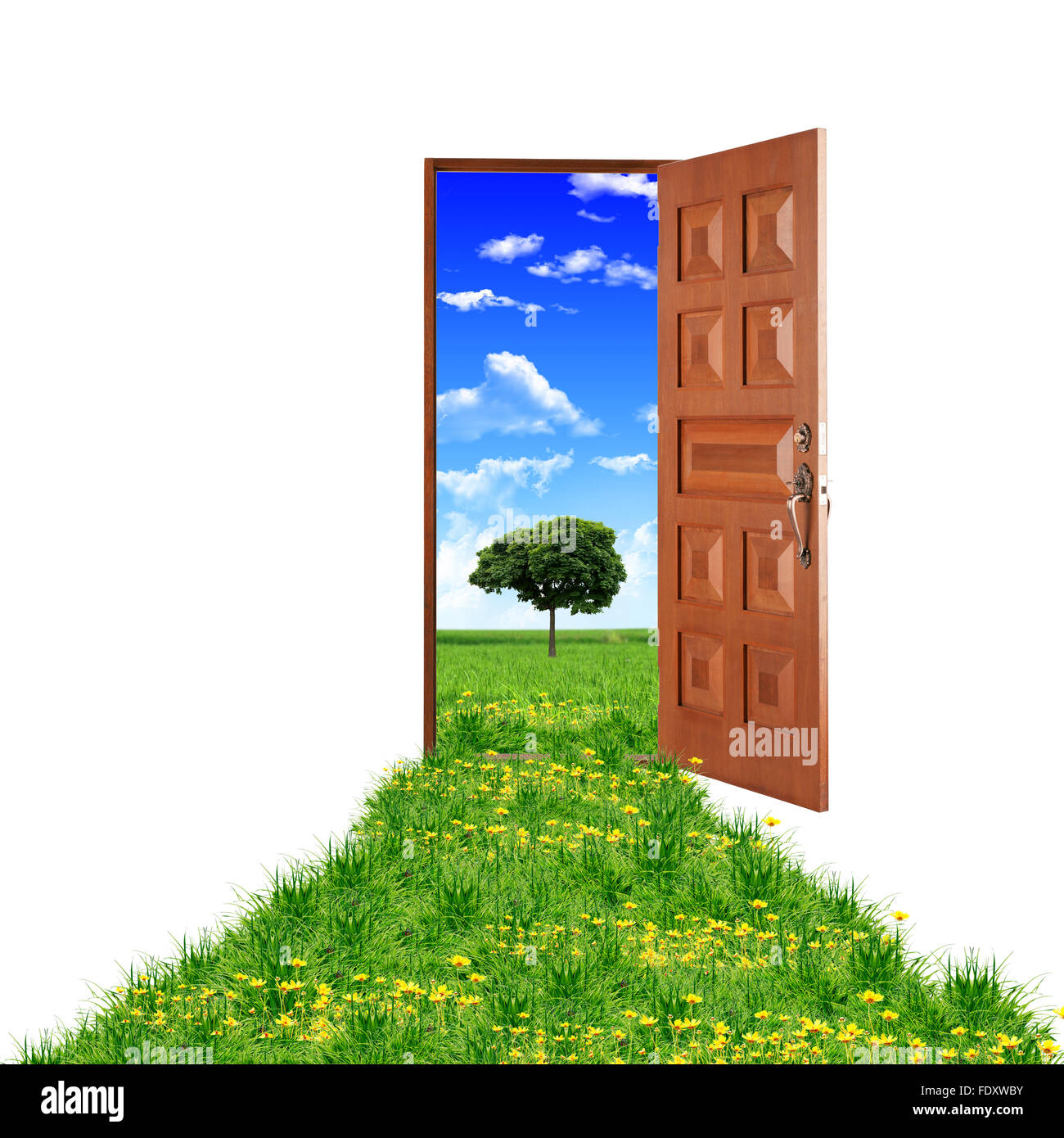 open door leading to beautiful clean nature with green grass and blue ...