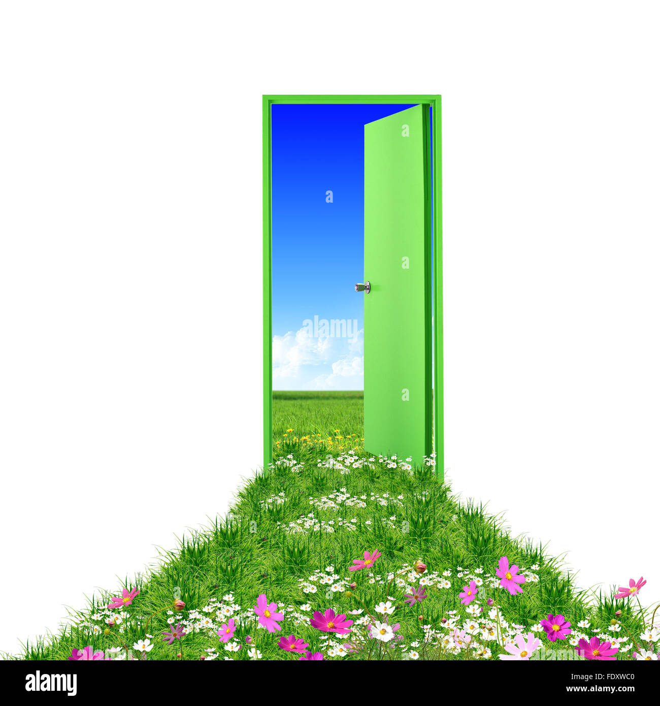 open door leading to beautiful clean nature with green grass and blue ...