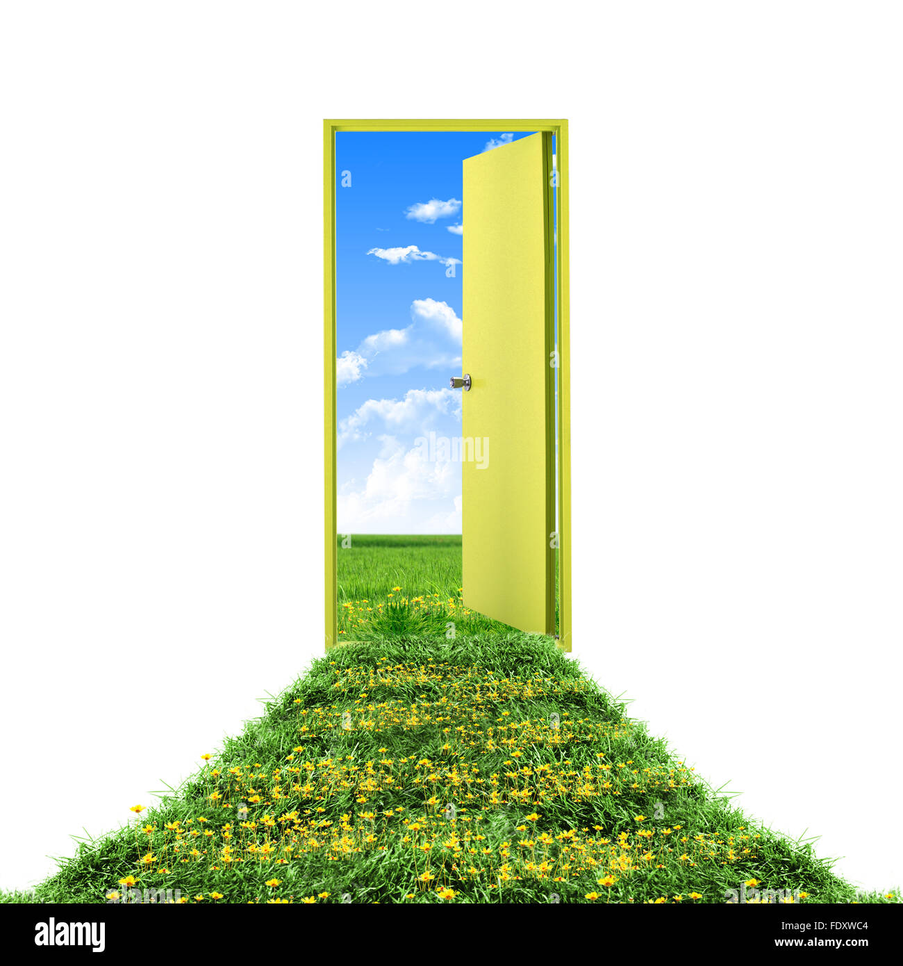 open door leading to beautiful clean nature with green grass and blue ...