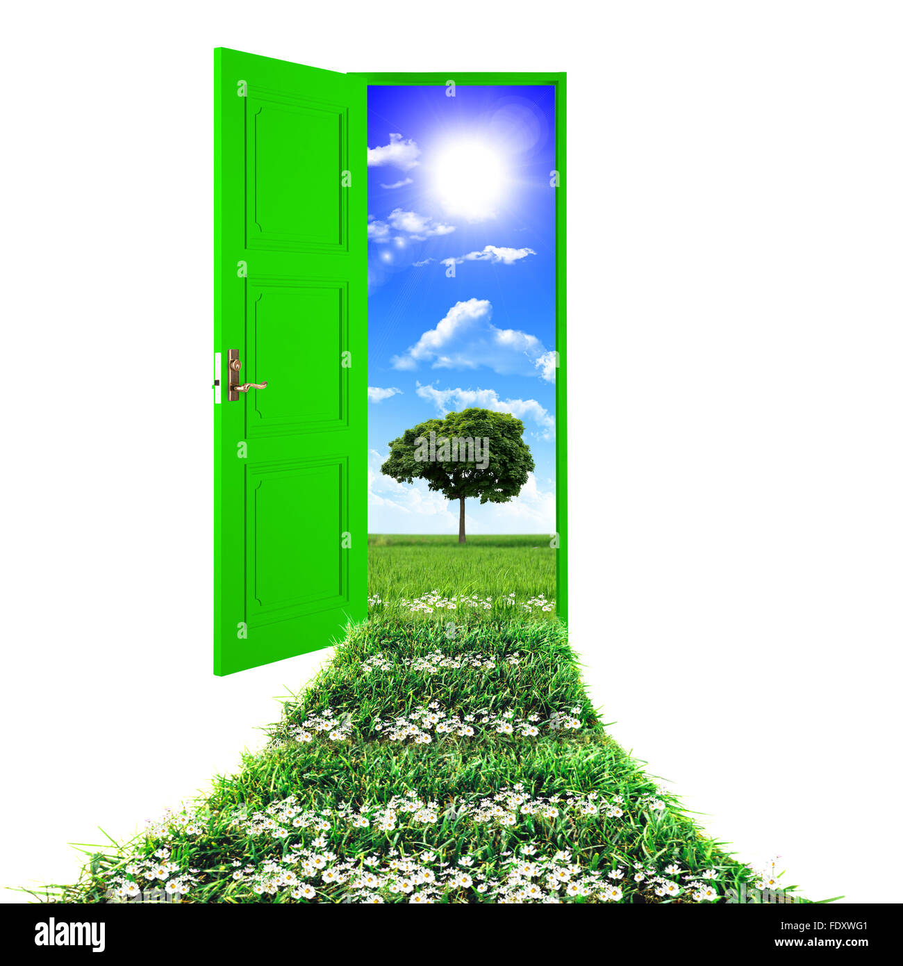 open door leading to beautiful clean nature with green grass and blue ...