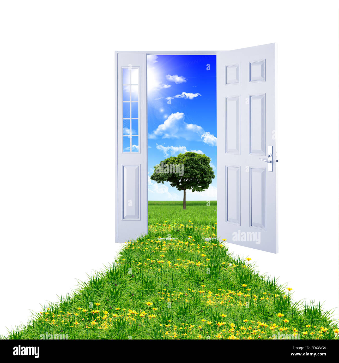 open door leading to beautiful clean nature with green grass and blue ...